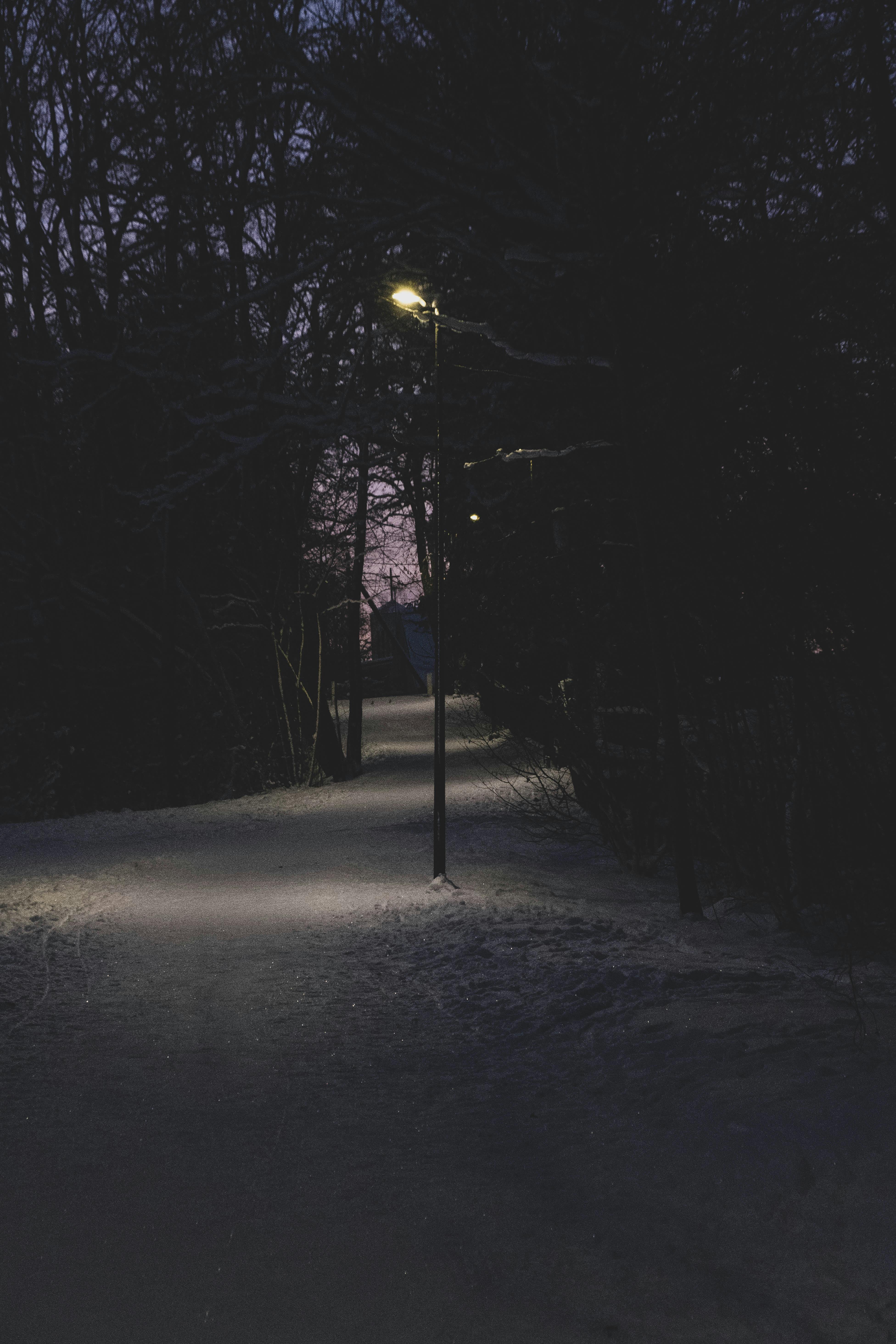 Free stock photo of cold, lights, matte