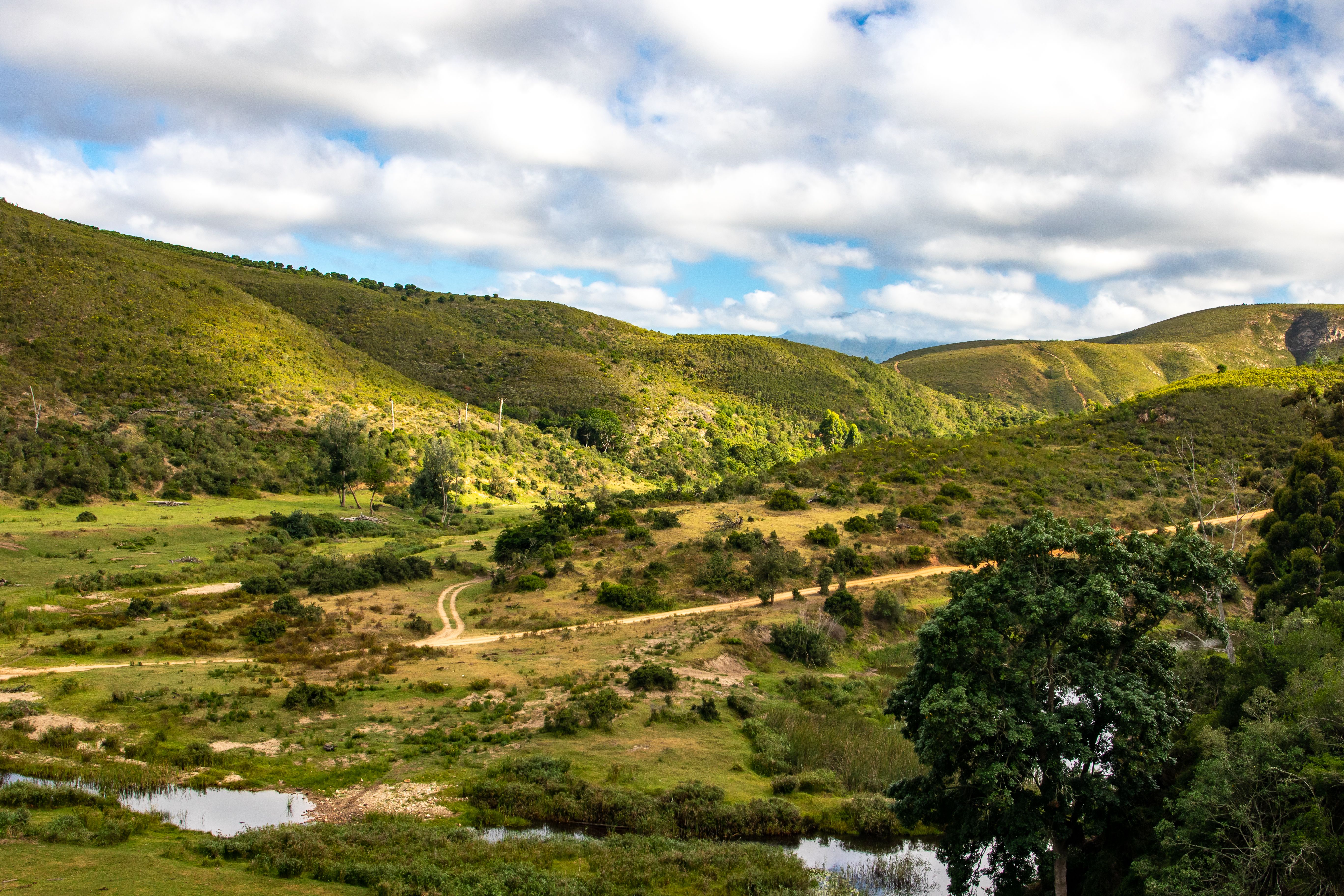 Green Grass Field and Hills · Free Stock Photo