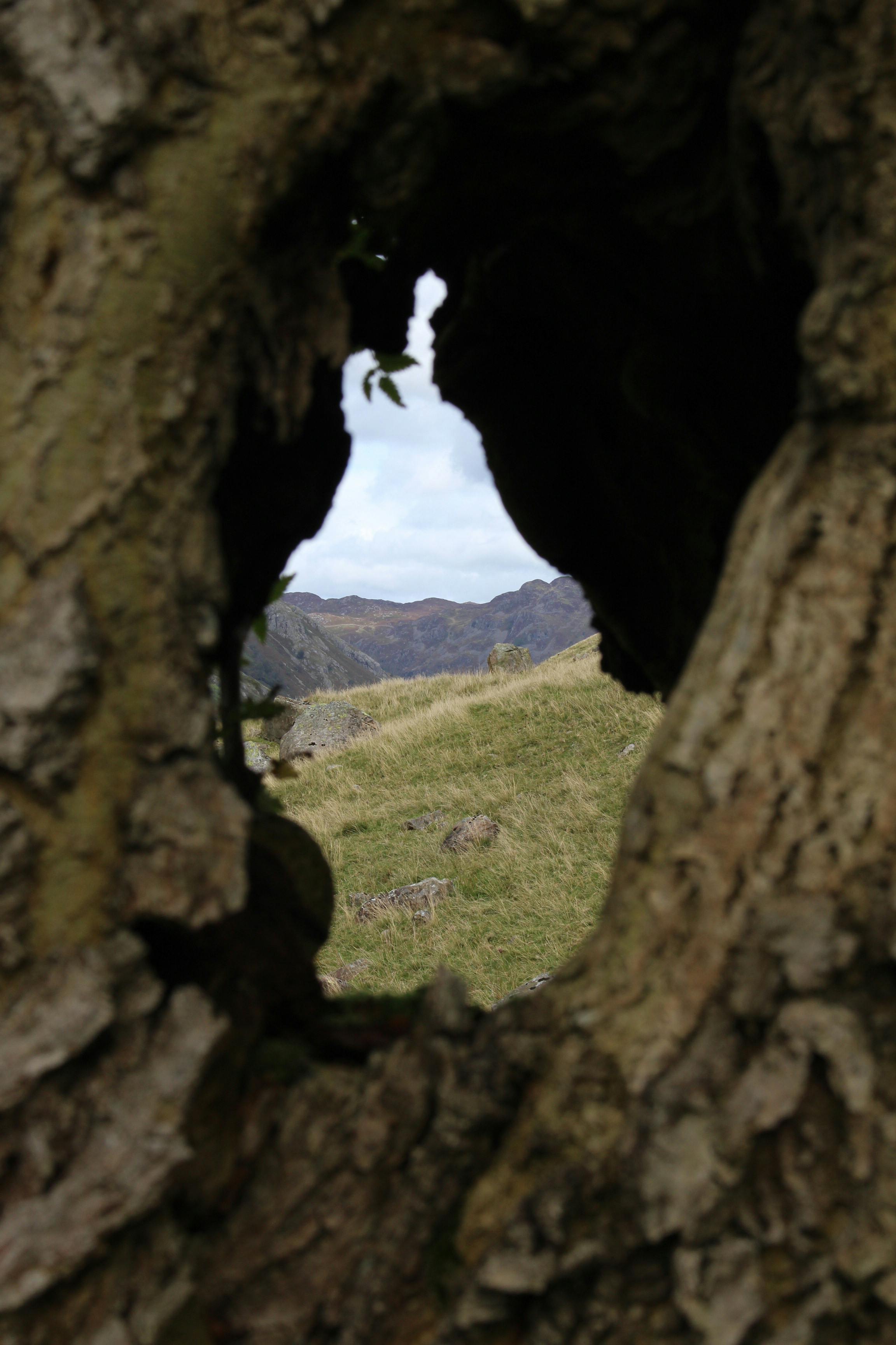 Tom Kilpatrick - Photography