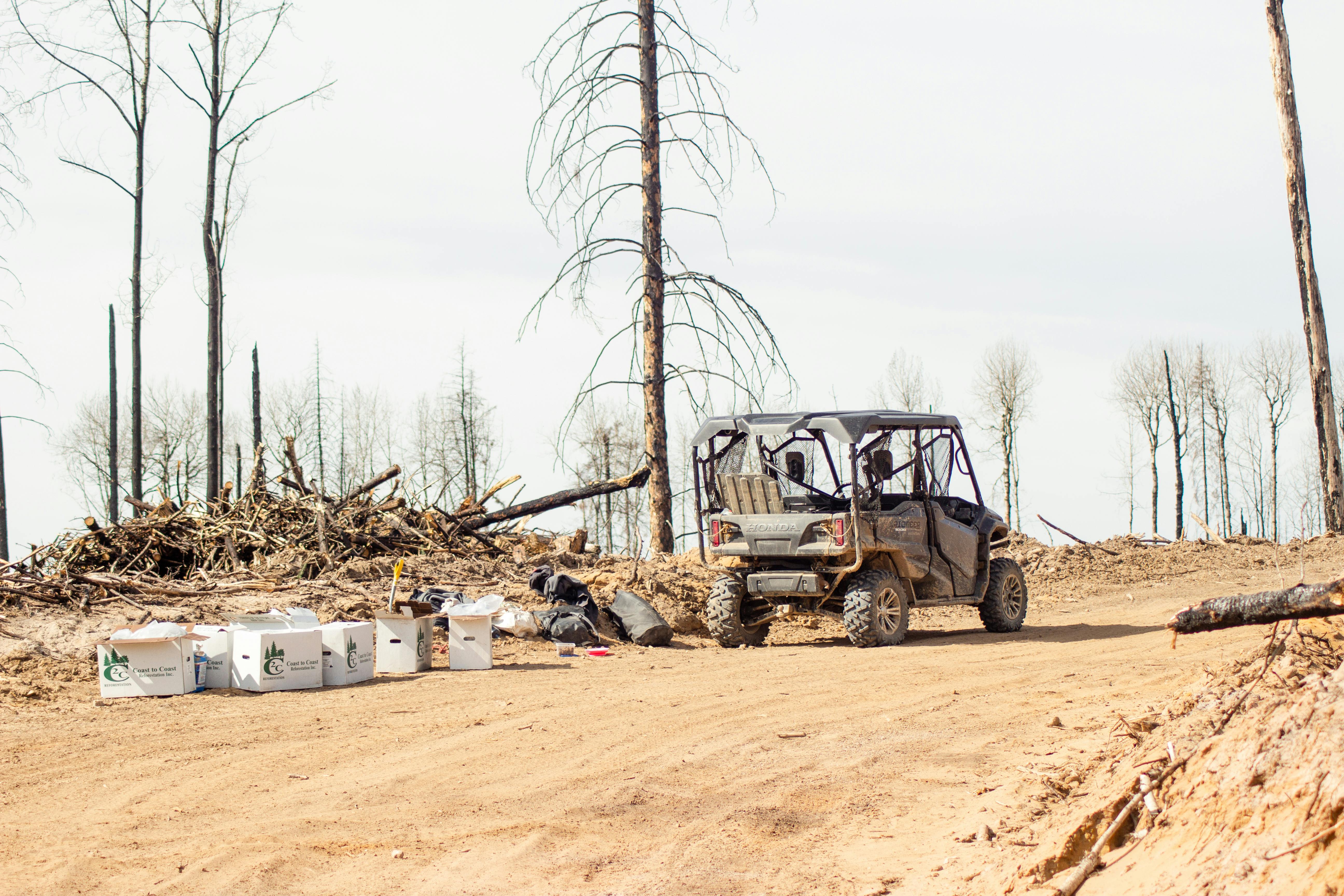 Tom Kilpatrick - Photography