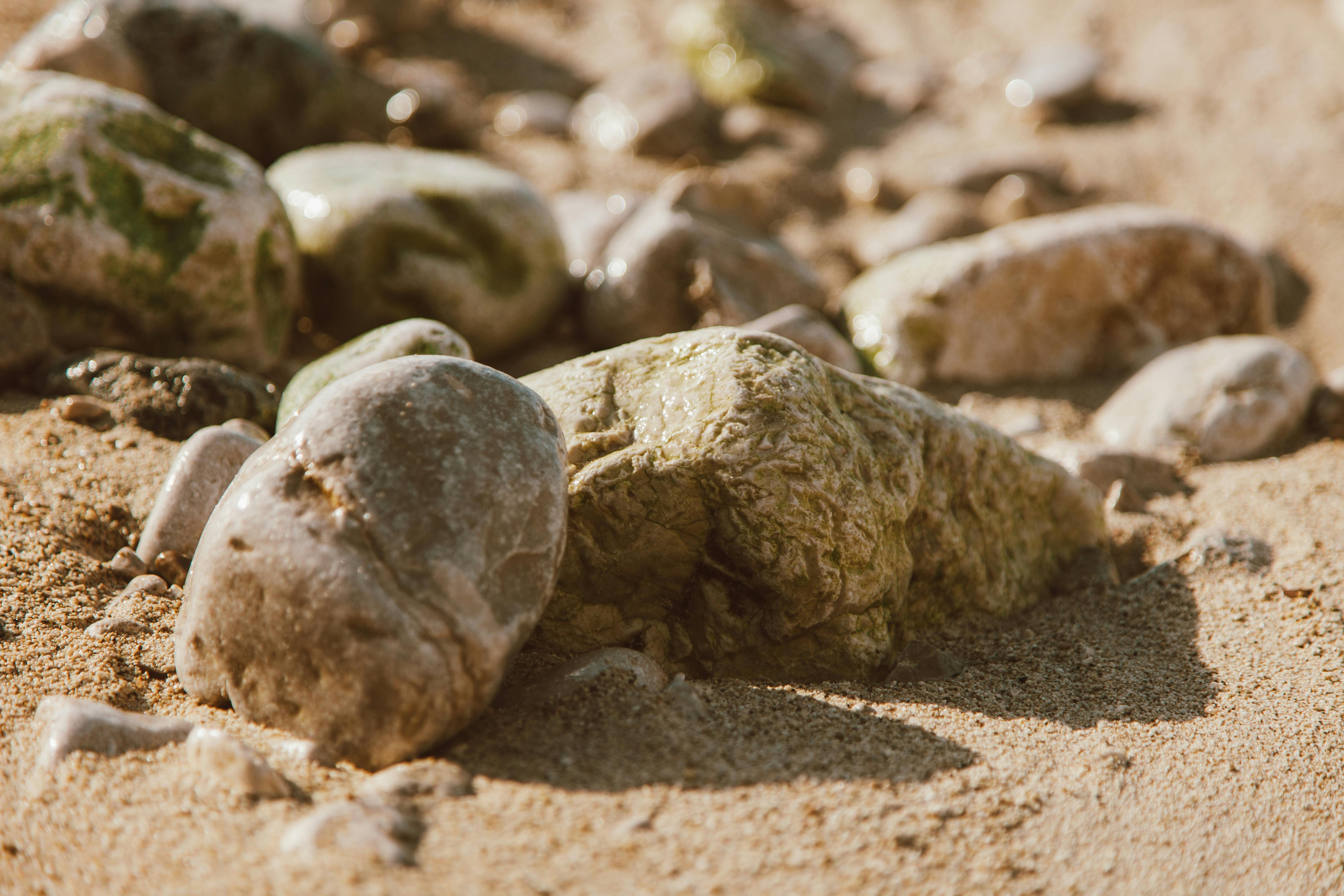 A Close-Up Shot of Rocks on the Sand · Free Stock Photo