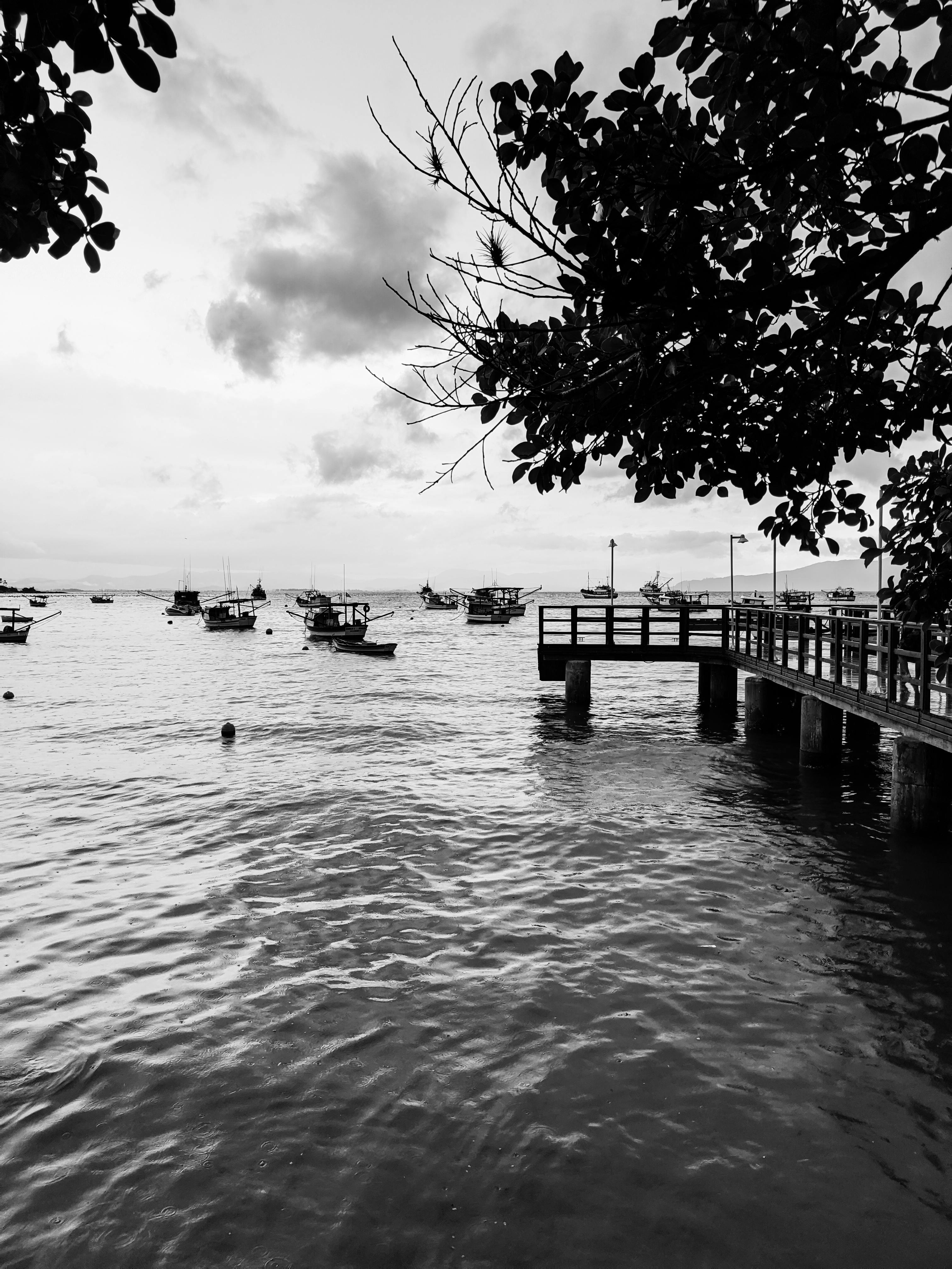 Rowing Man in Black and White · Free Stock Photo