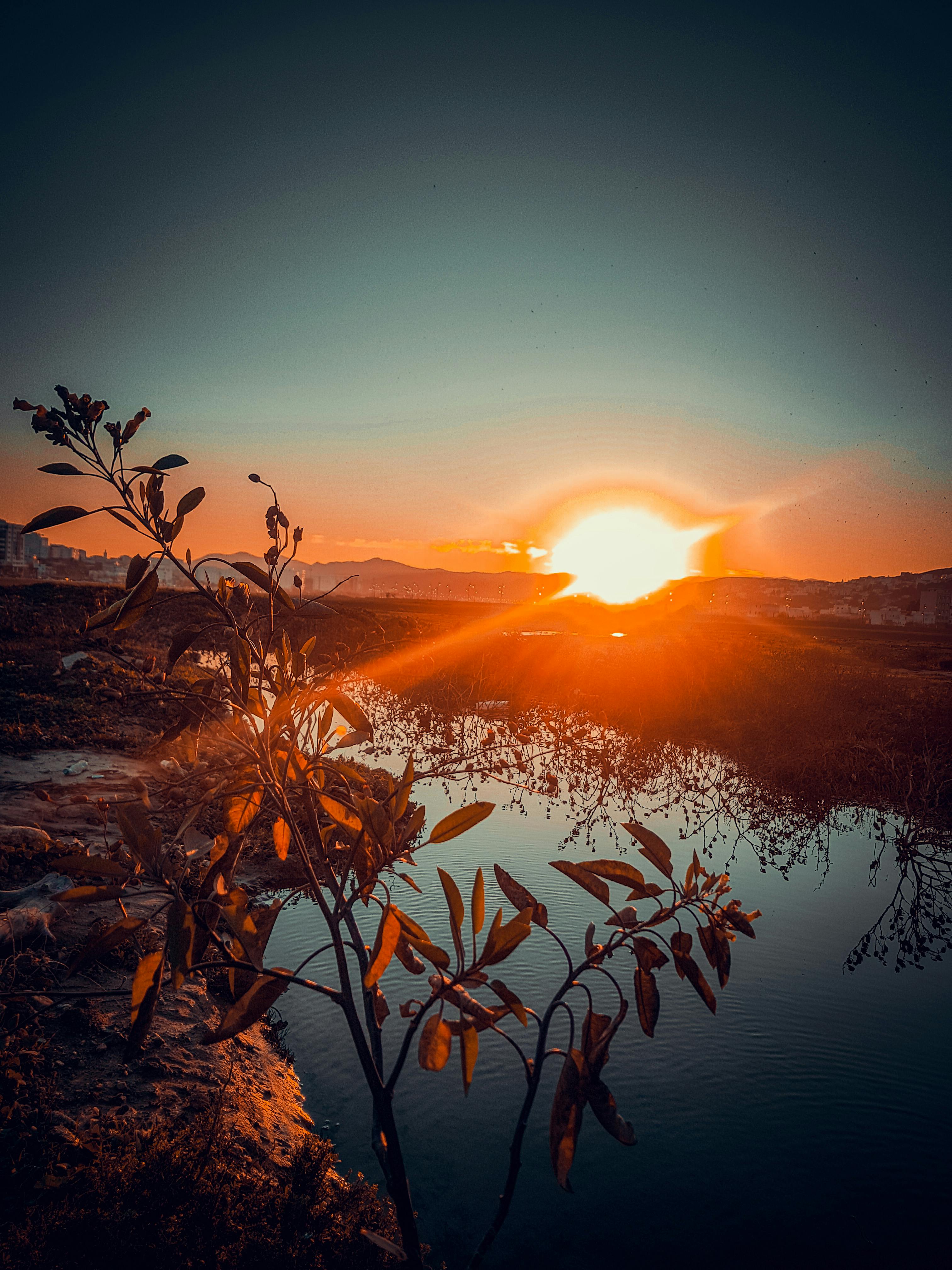 Amir Hamza - Photography