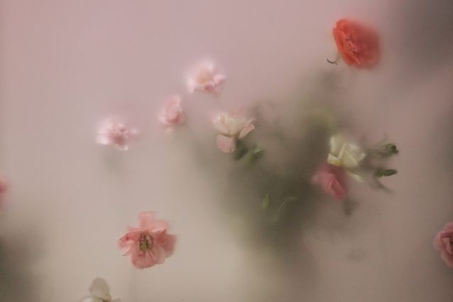 Why Are Some Places Blurred on Google Maps? Mystery Solved