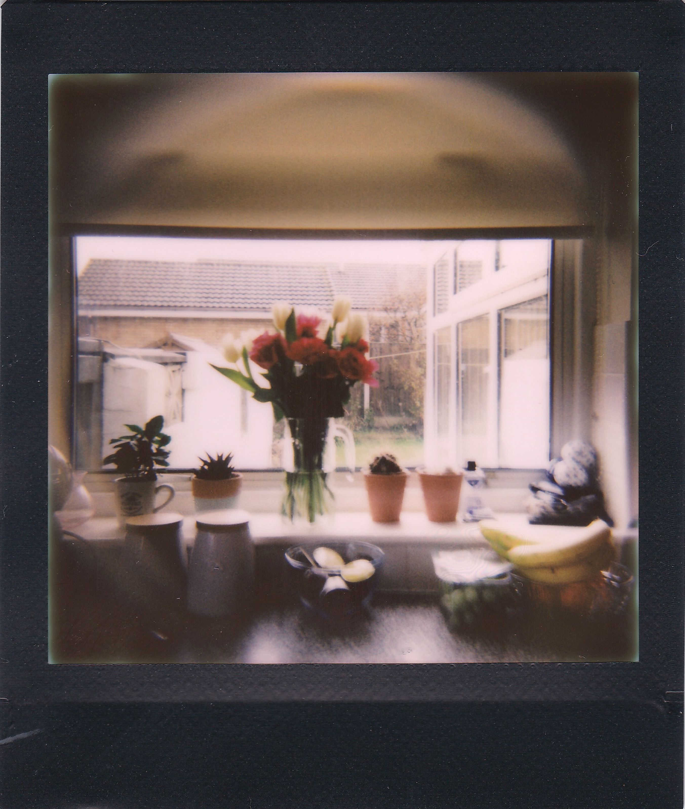 A Window with Flower · Free Stock Photo