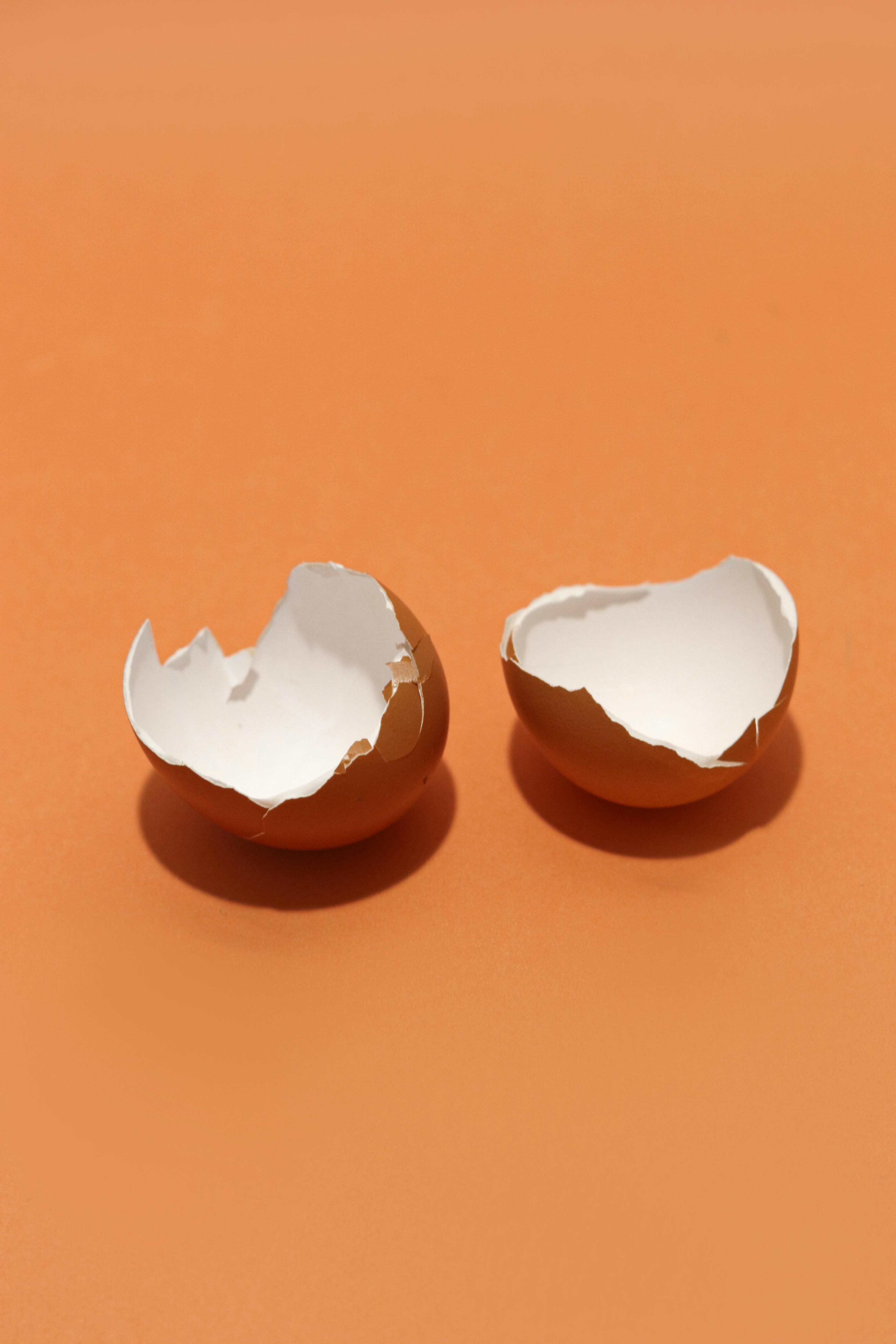 Empty Eggshells on Orange Background · Free Stock Photo