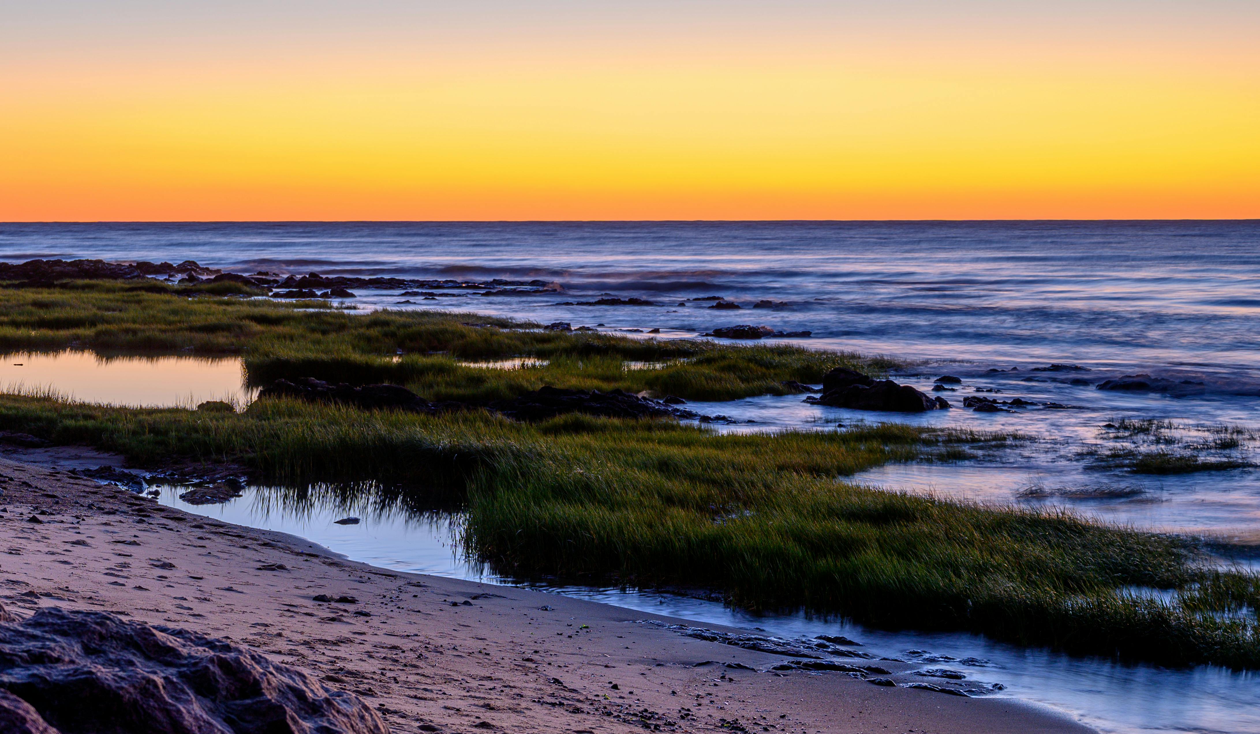Seashore · Free Stock Photo