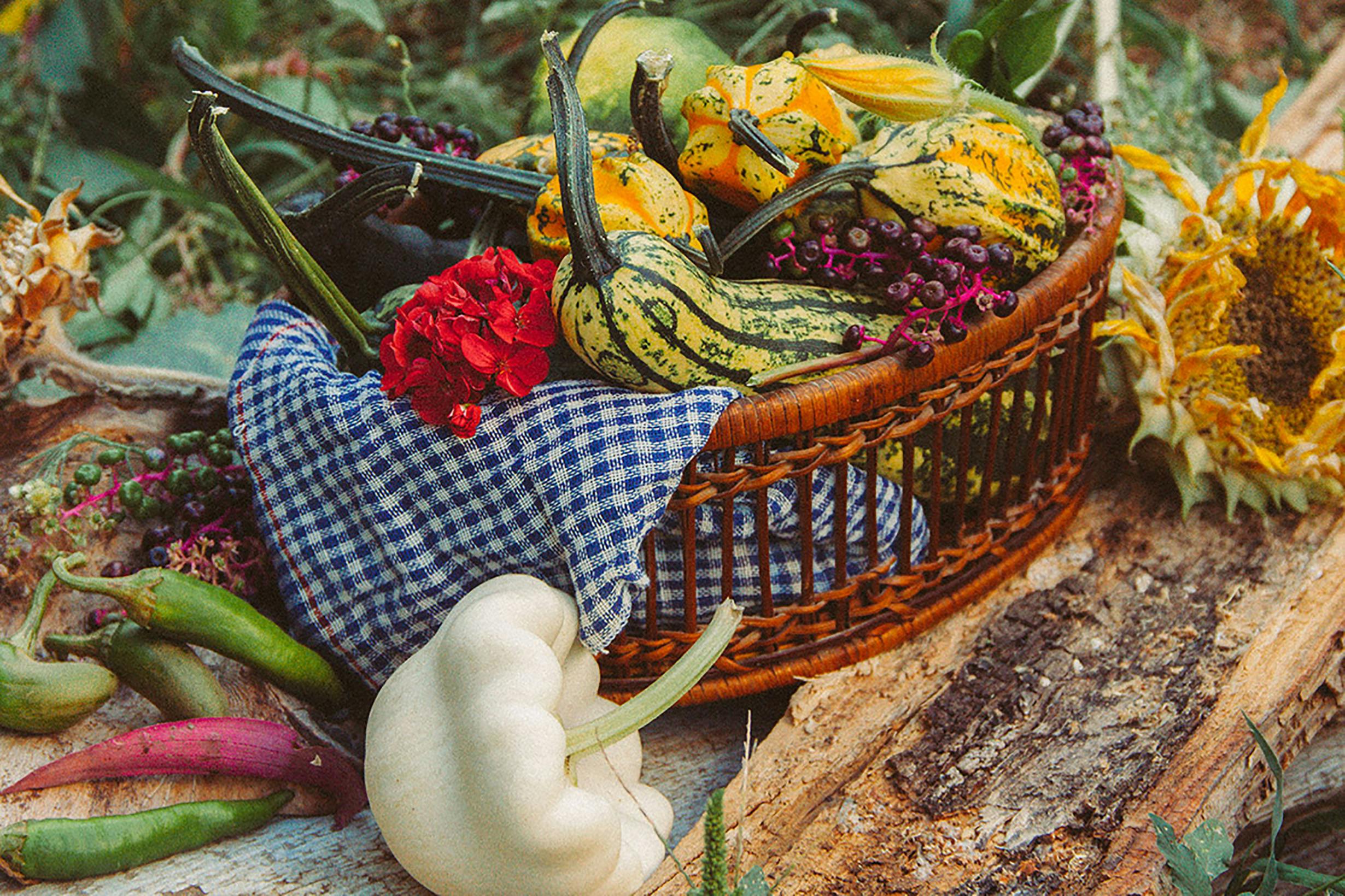 Vegetables in Basket · Free Stock Photo