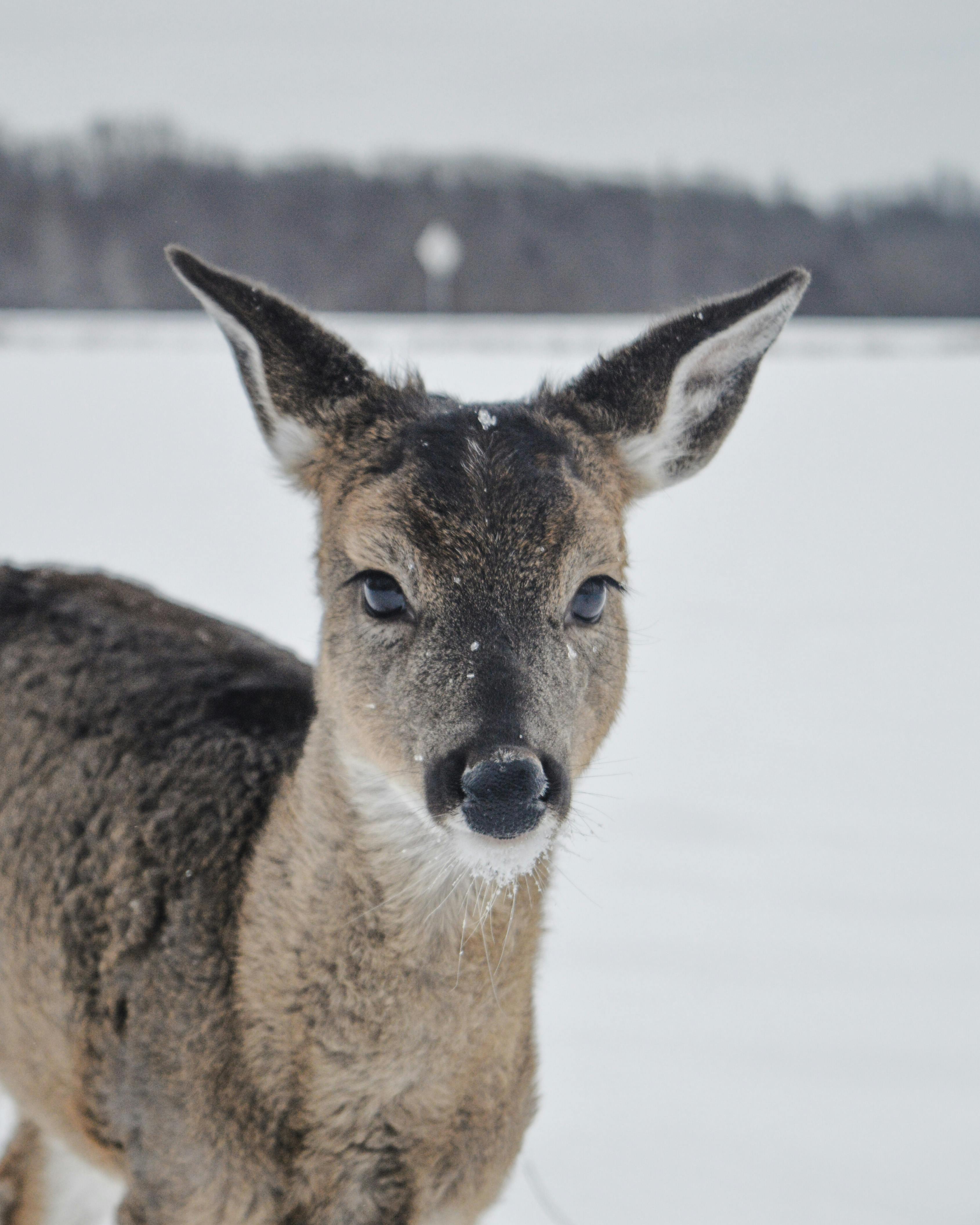 peyton england - Photography