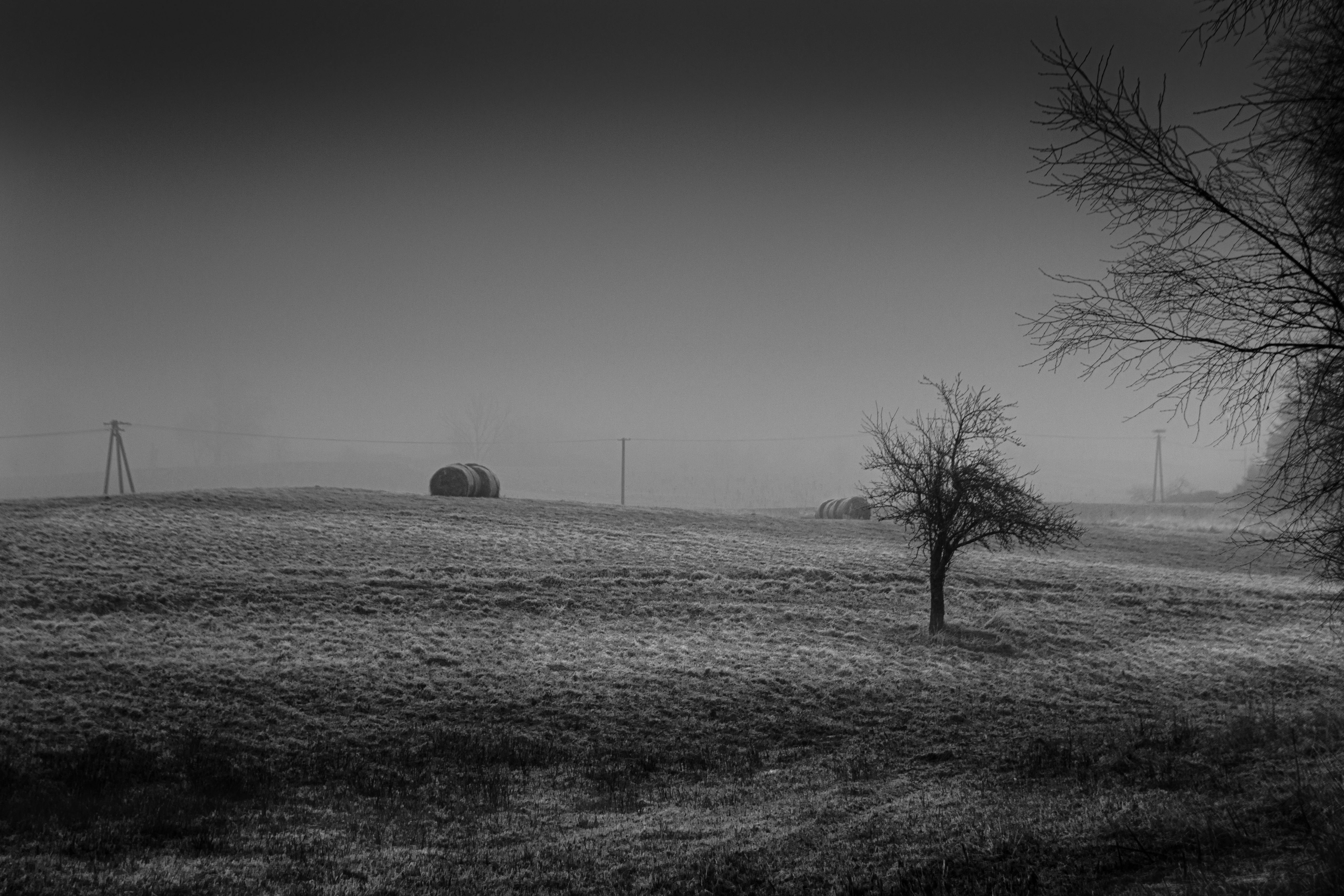 Person in Shadowly Figure · Free Stock Photo
