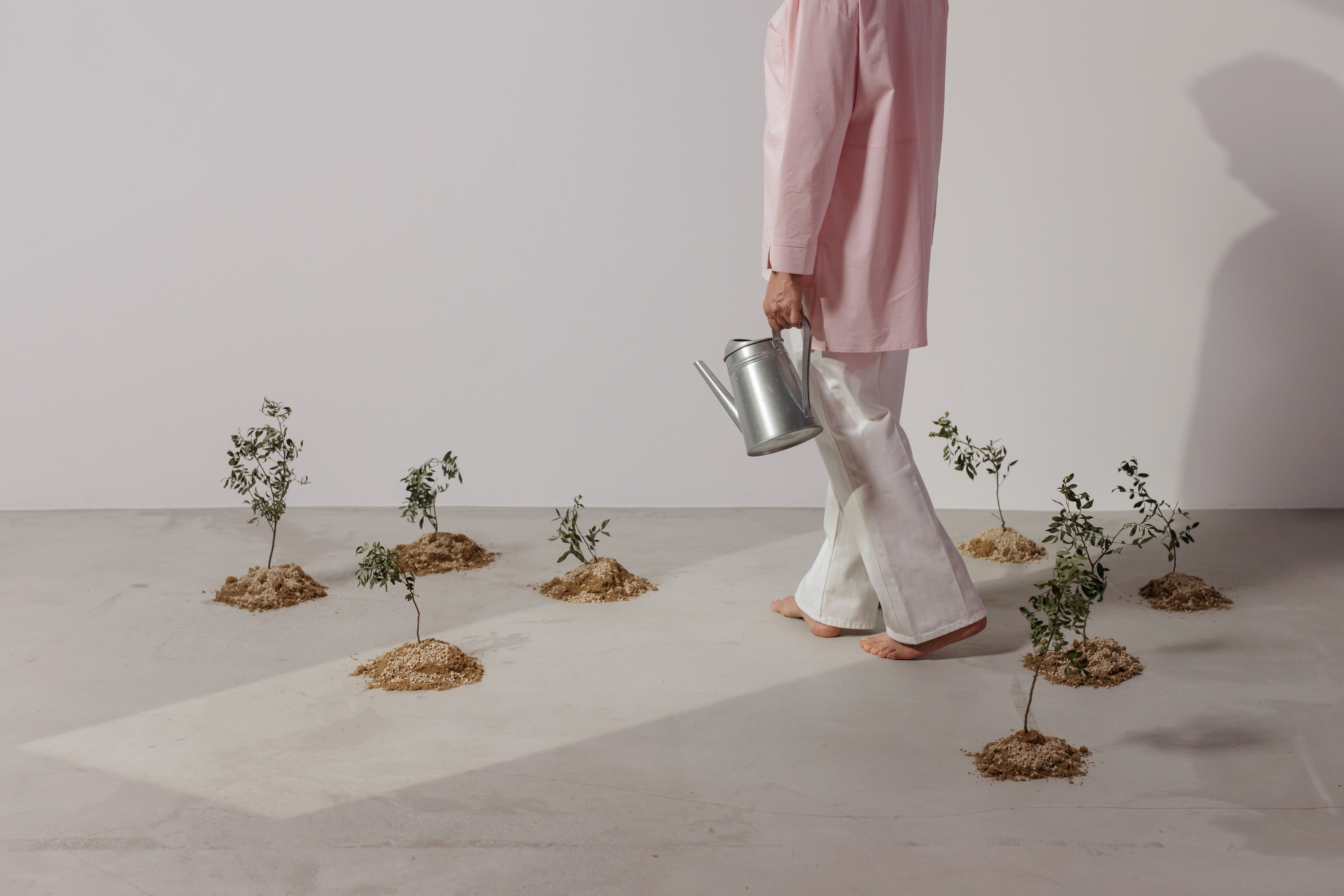 Photo of Green Plants Getting Watered · Free Stock Photo