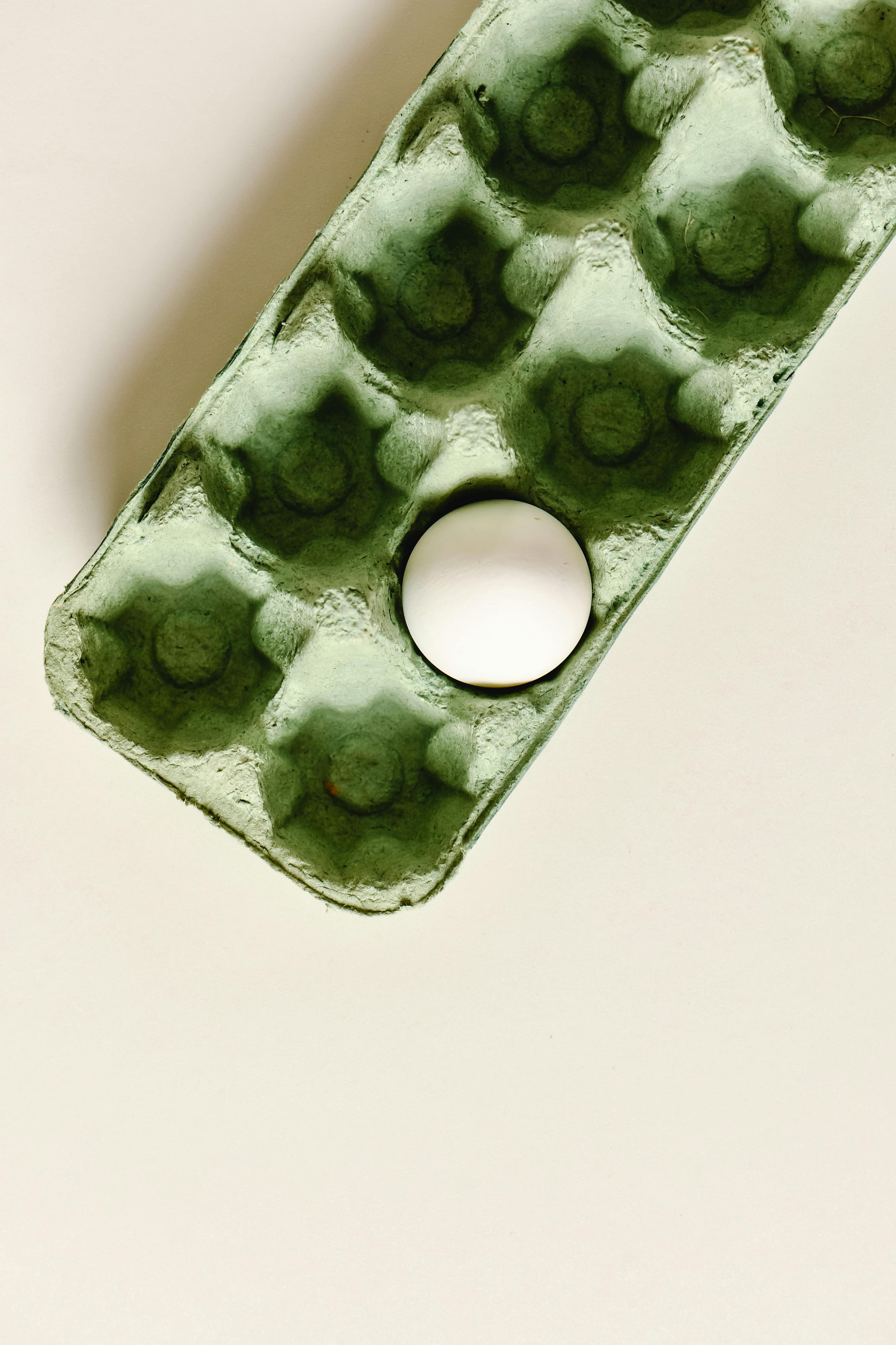 Biodegradable Background Photos, Download The BEST Free Biodegradable ...