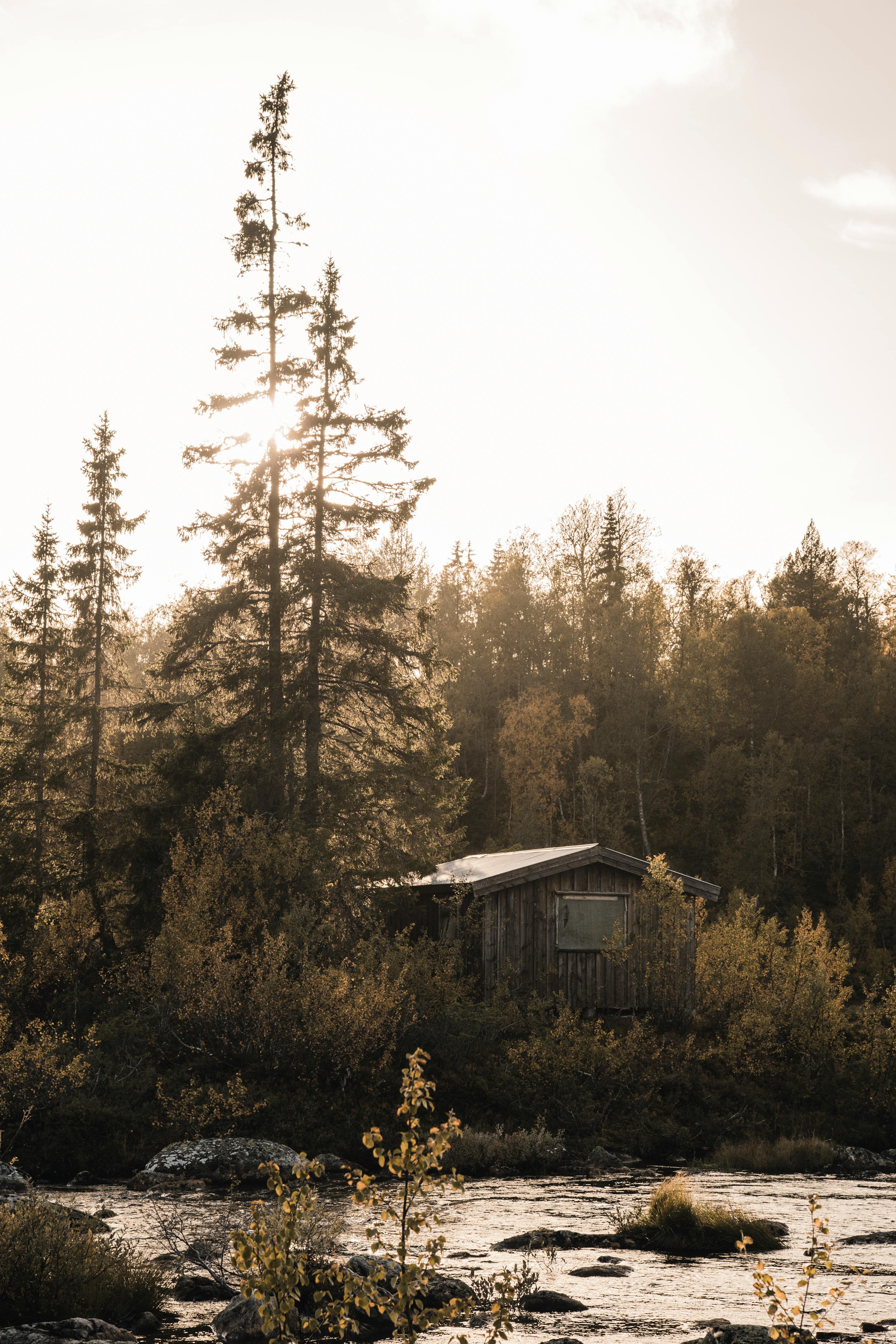 Charming Cottage in Fall Forest Setting · Free Stock Photo