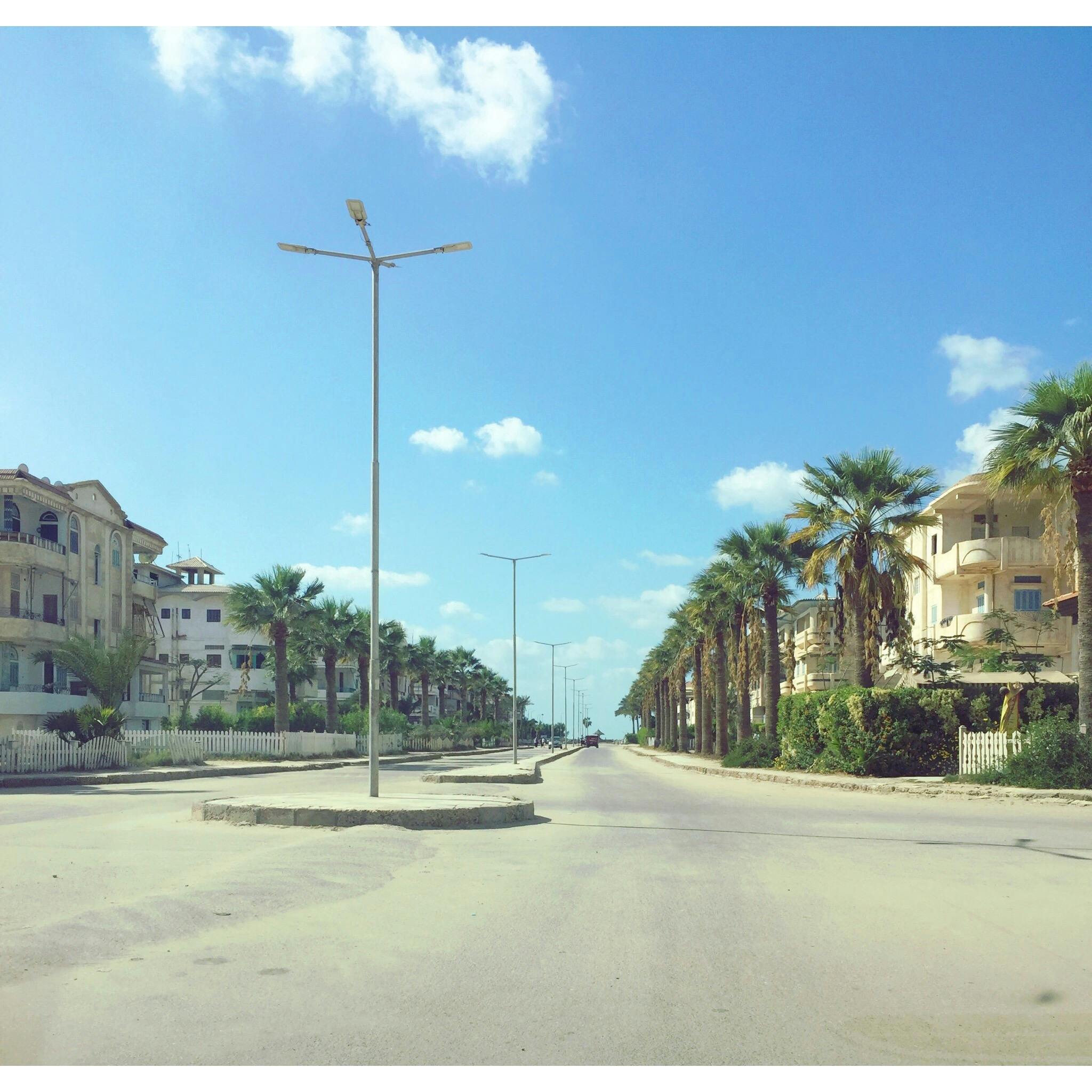 Free stock photo of coffee drink, starbucks