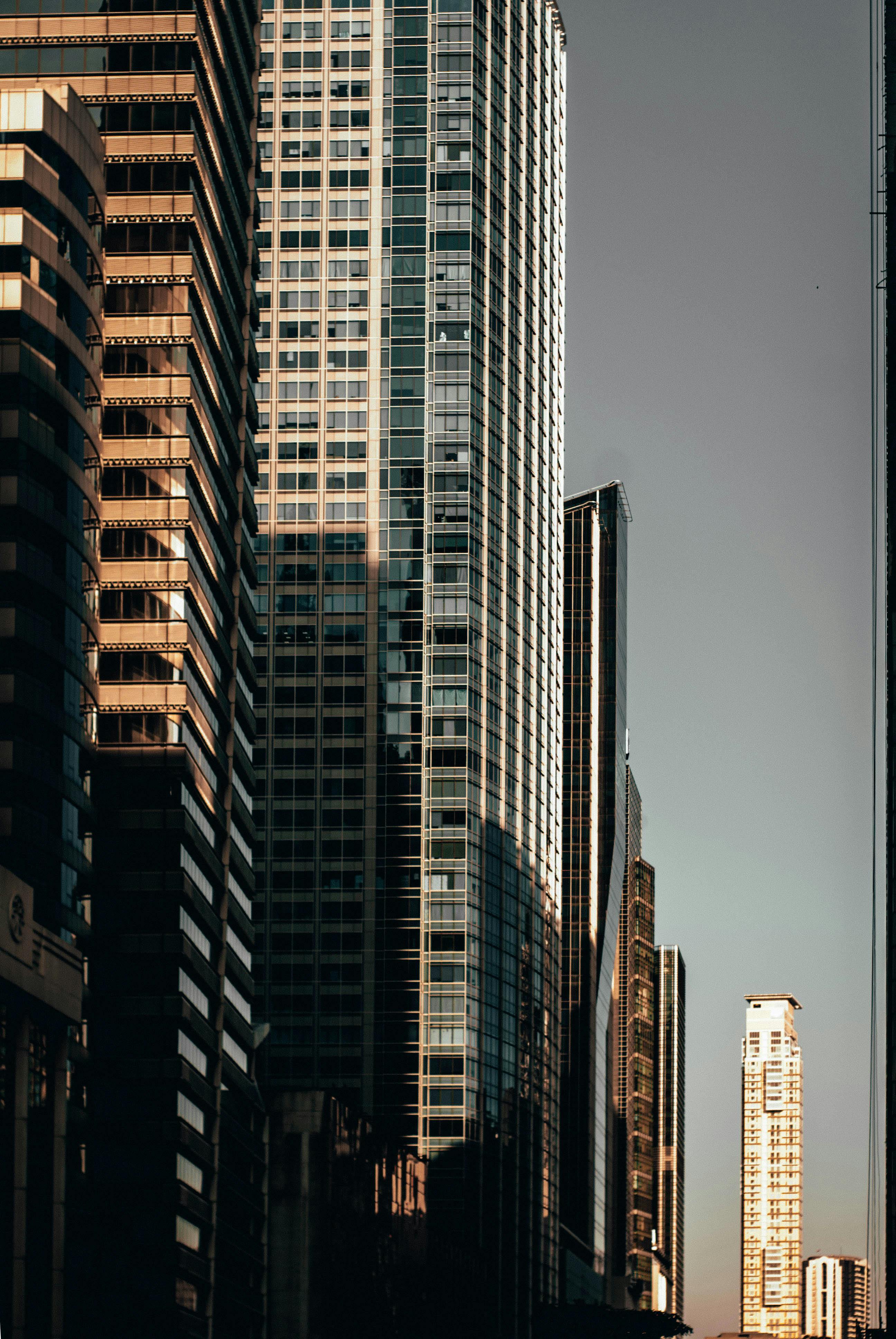 High-Rise Buildings at Night · Free Stock Photo