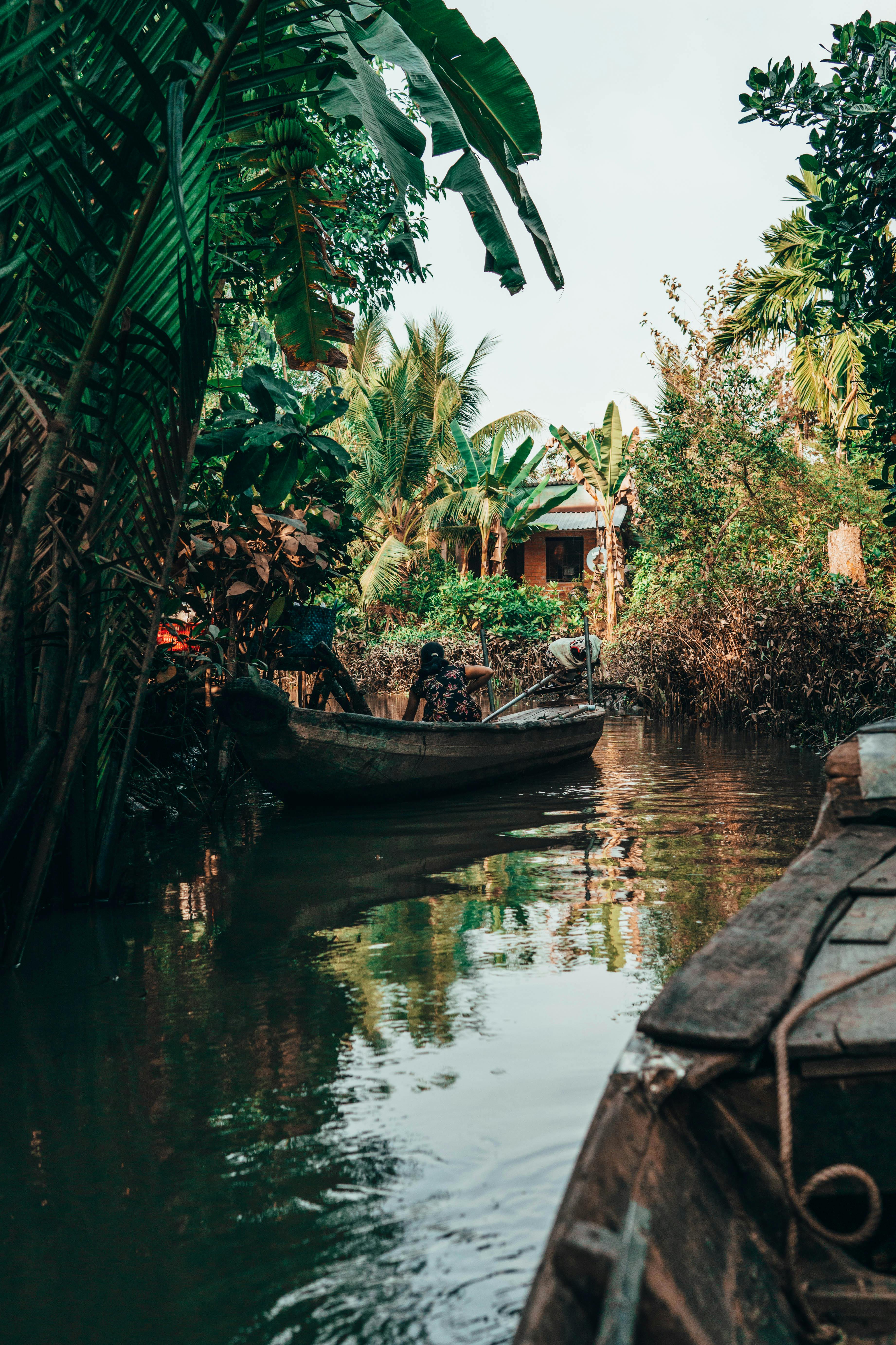Boat on River in Jungle · Free Stock Photo