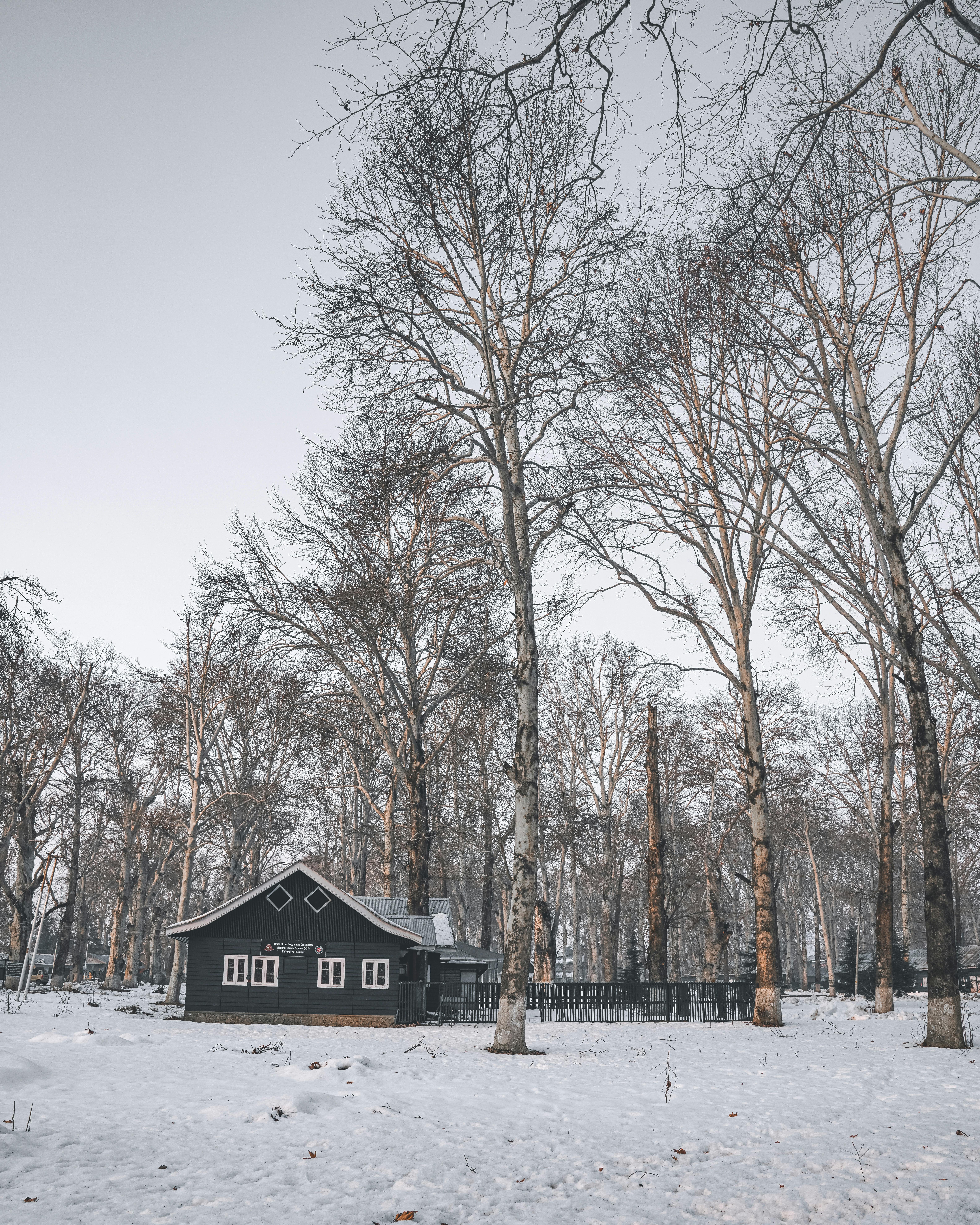 Brown Wooden House on Snow Covered Ground · Free Stock Photo
