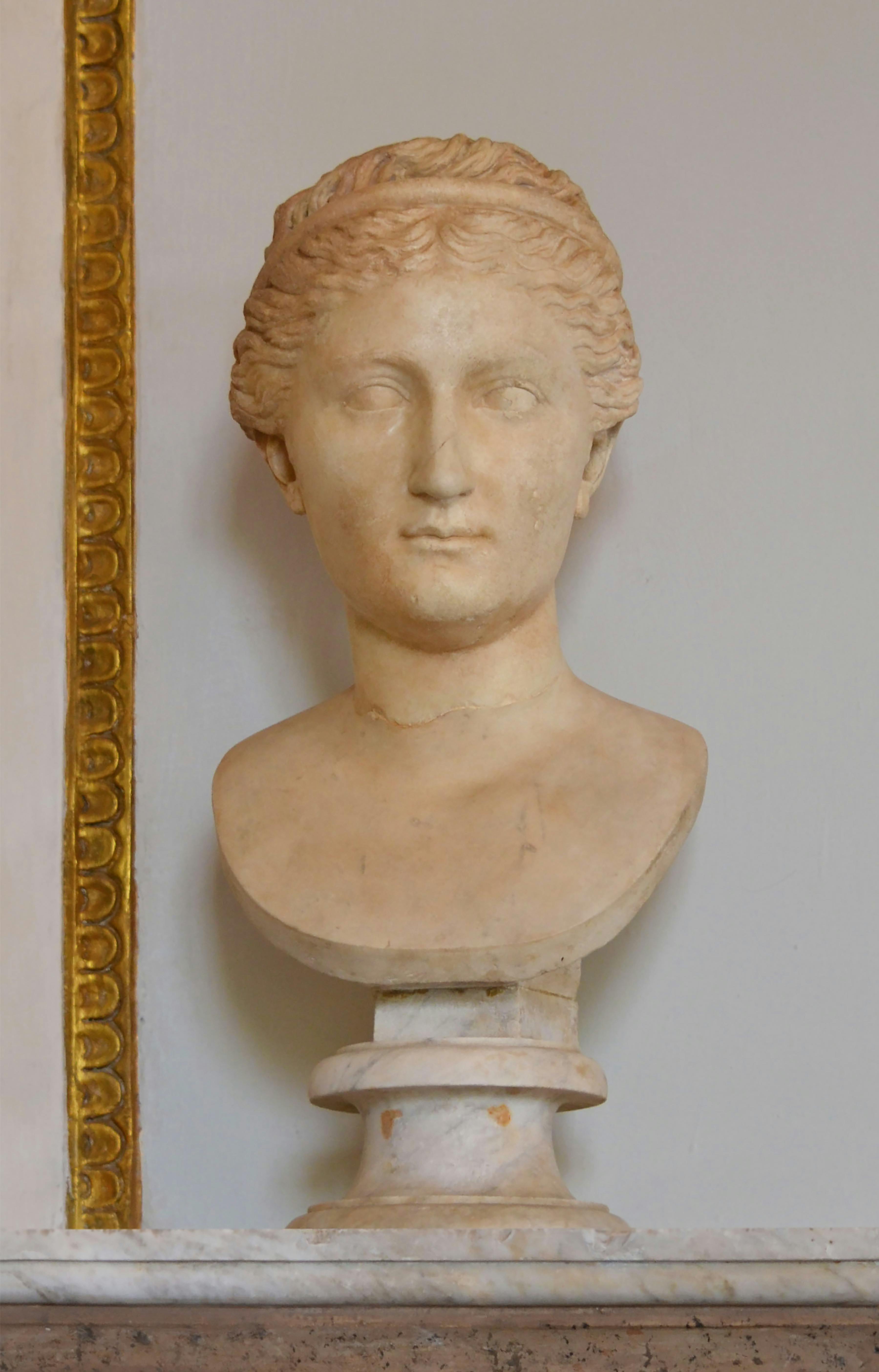 Close up of Marble Bust · Free Stock Photo