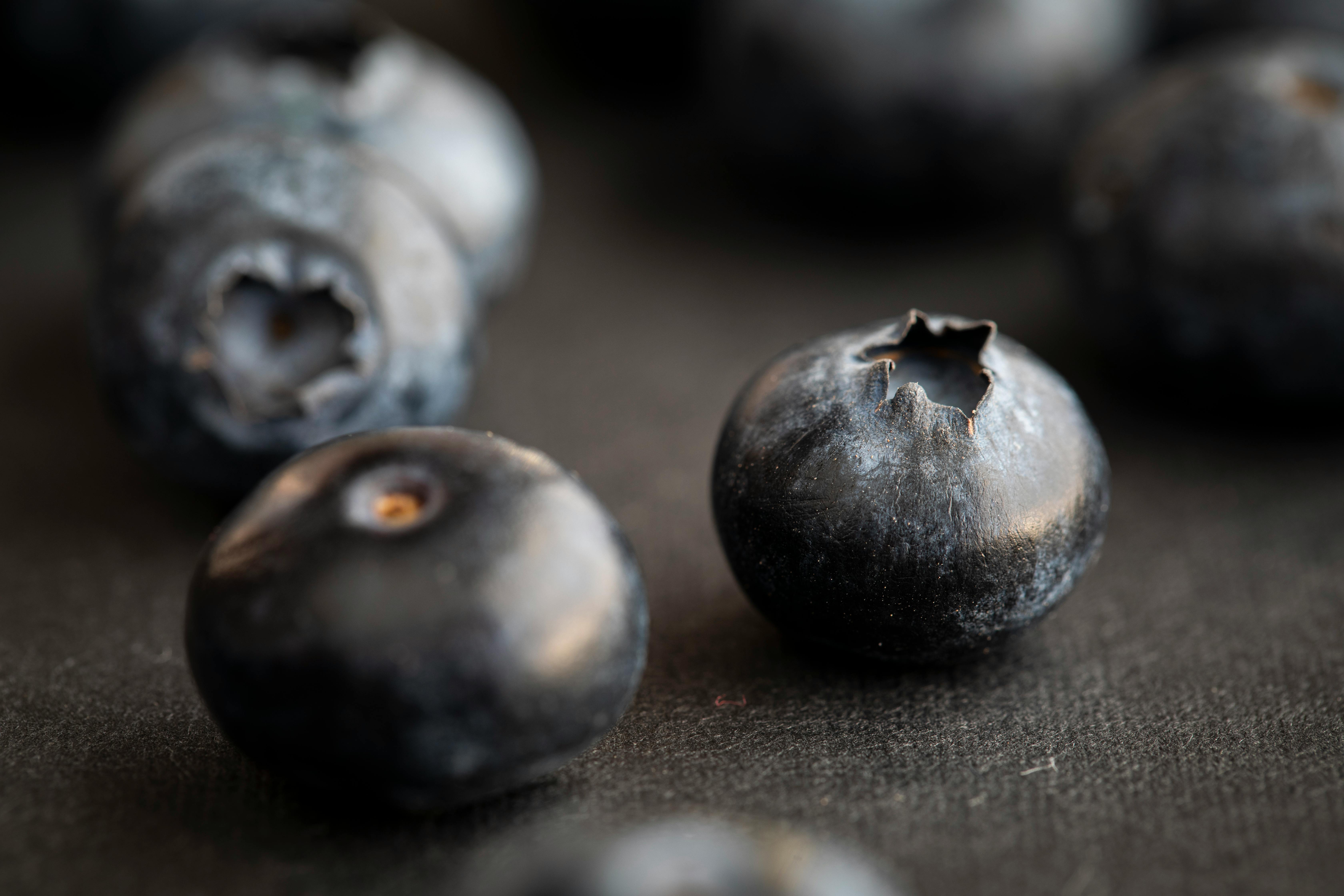 Blueberry Lot · Free Stock Photo