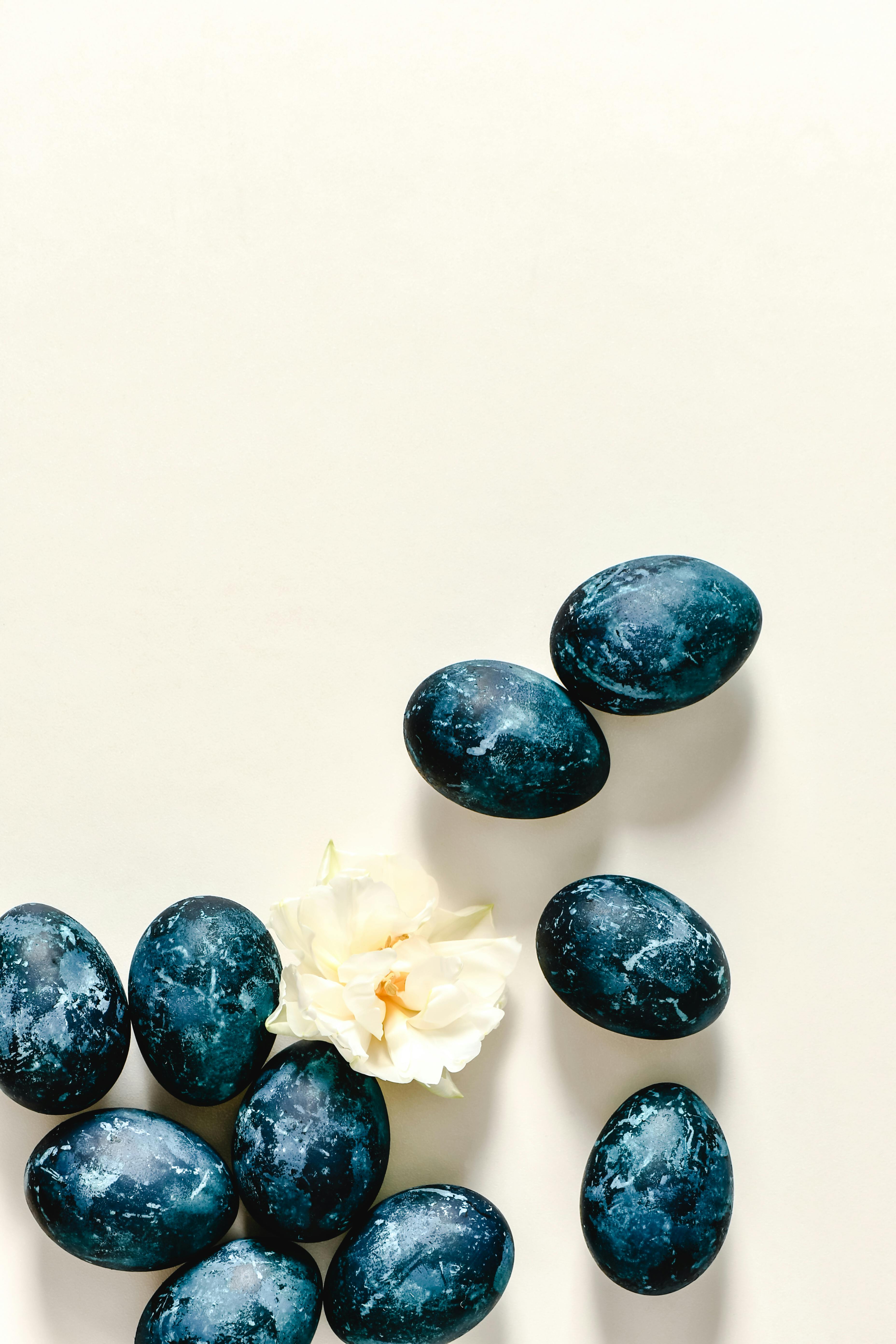 Easter Eggs Display Photos, Download The BEST Free Easter Eggs Display ...