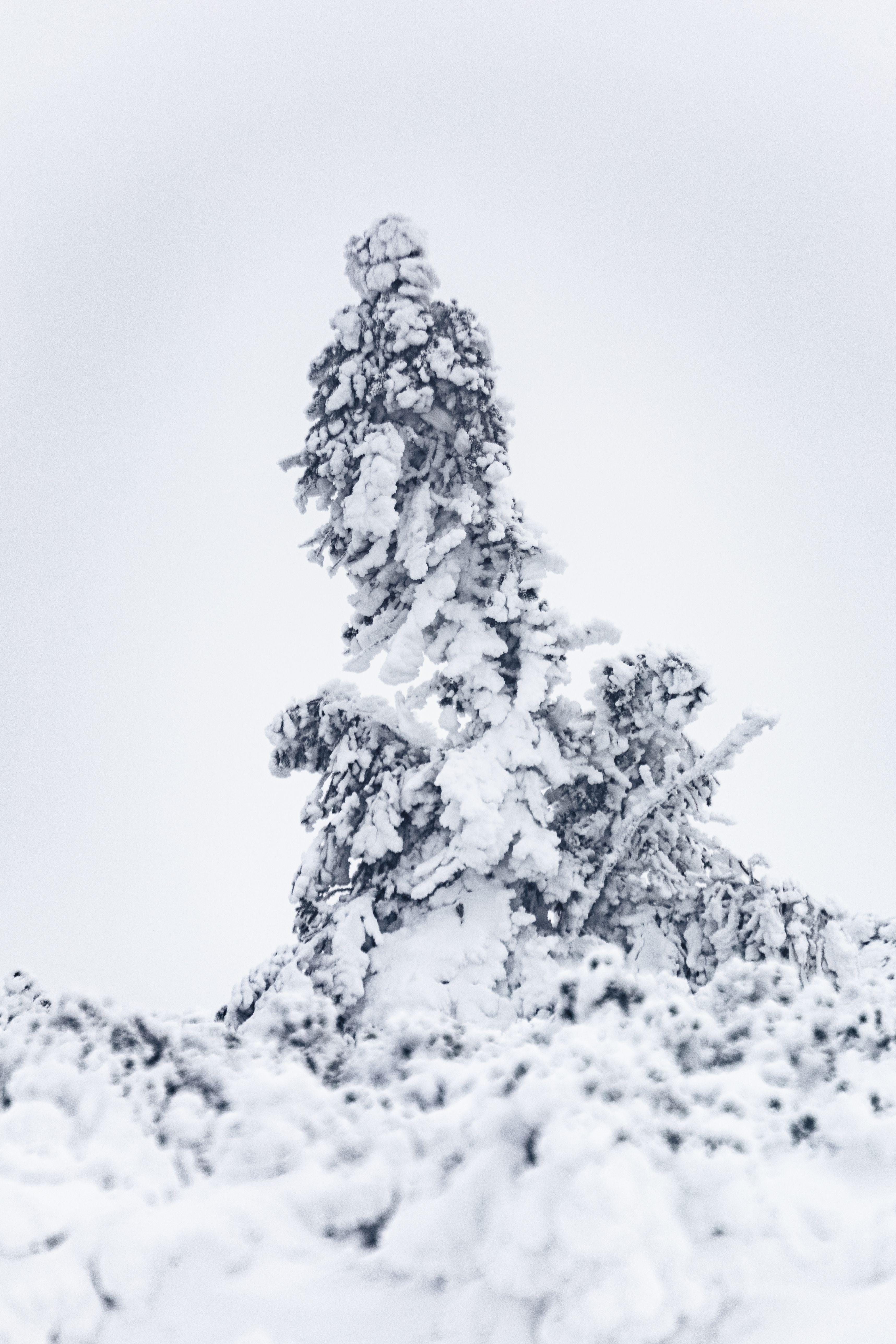 Random 84 Photos & Videos Collected by Marek Piwnicki