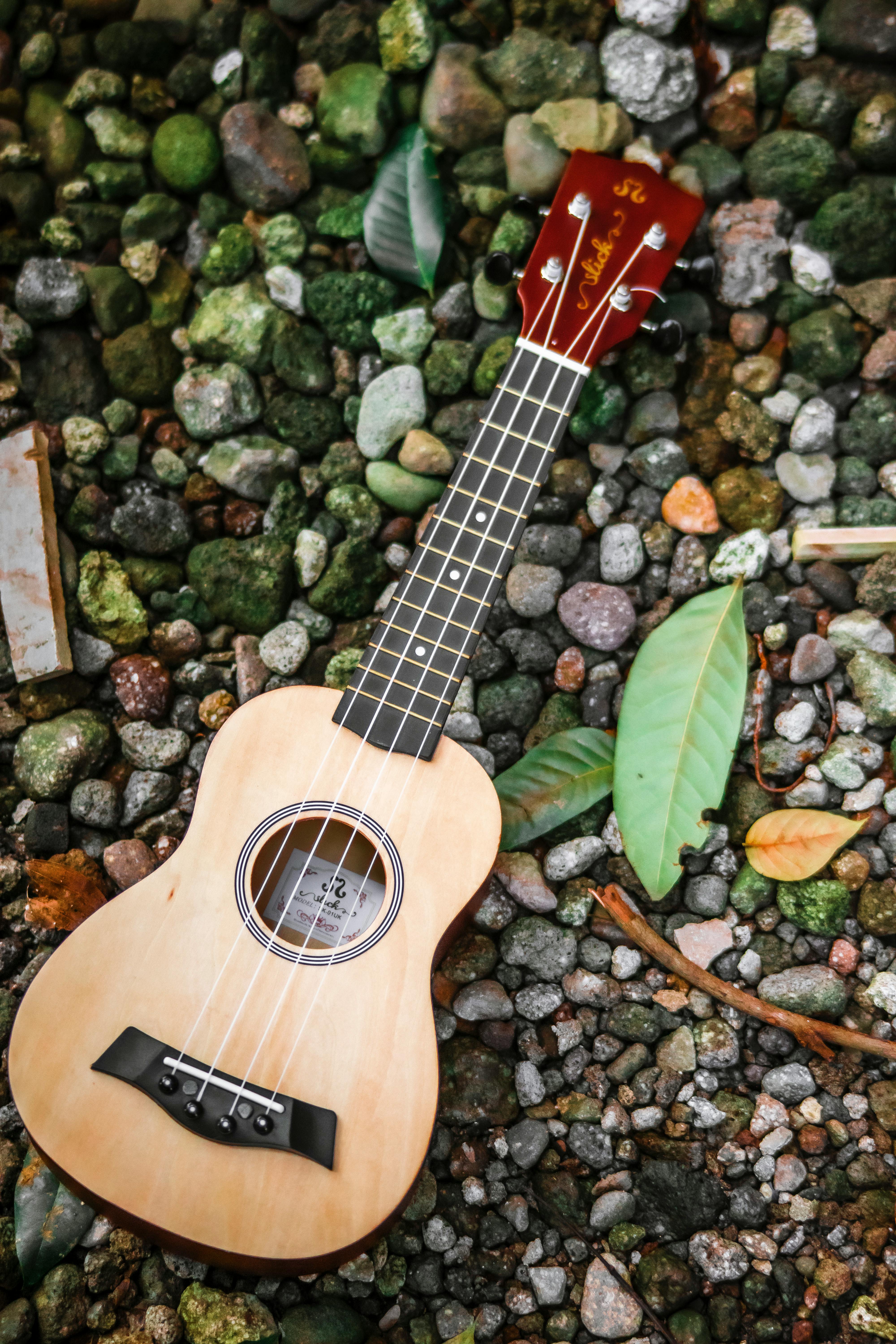 Ukulele placed on stone in garden with green plants · Free Stock Photo