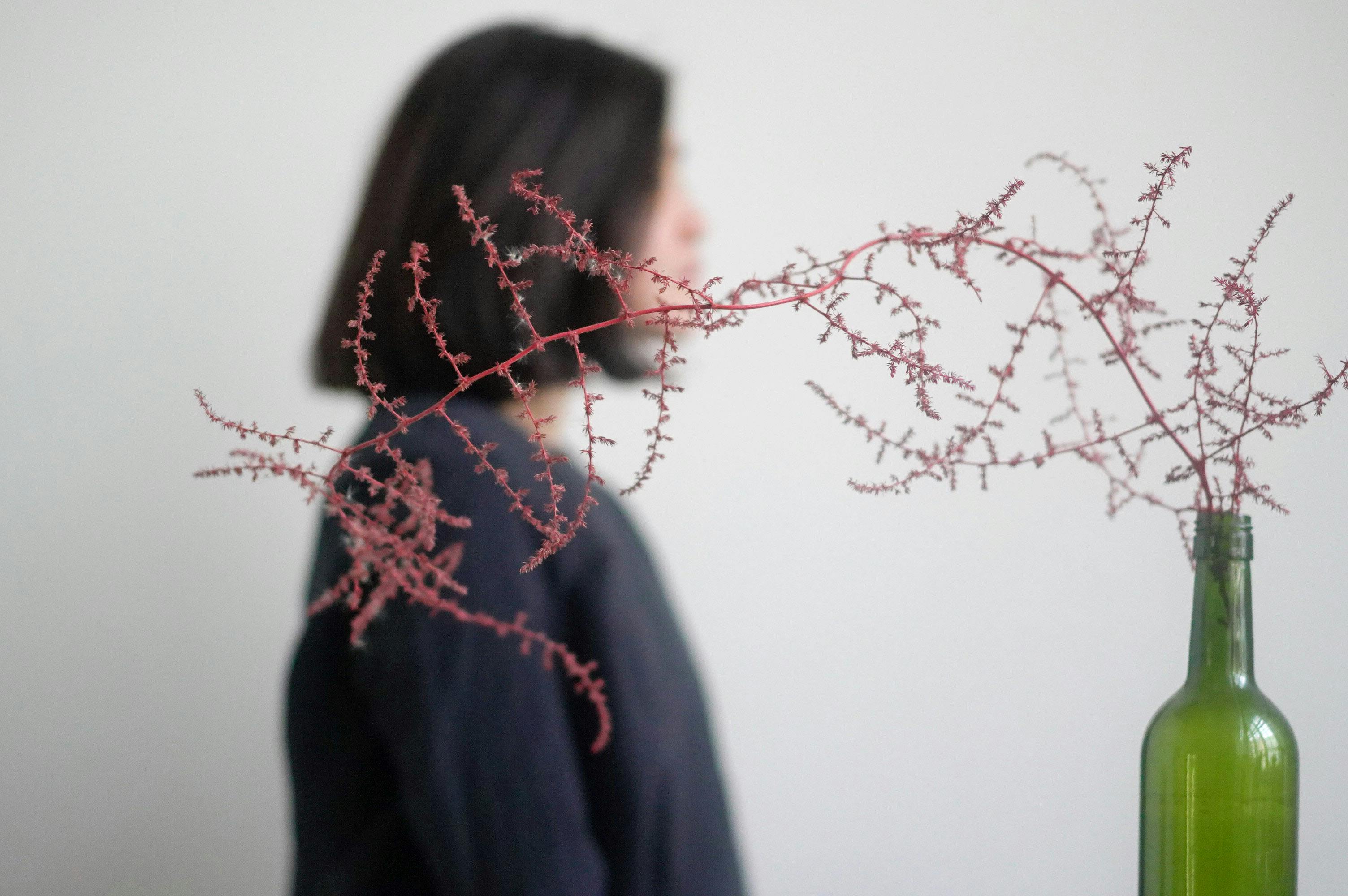 Hanging Decorative Tussels · Free Stock Photo