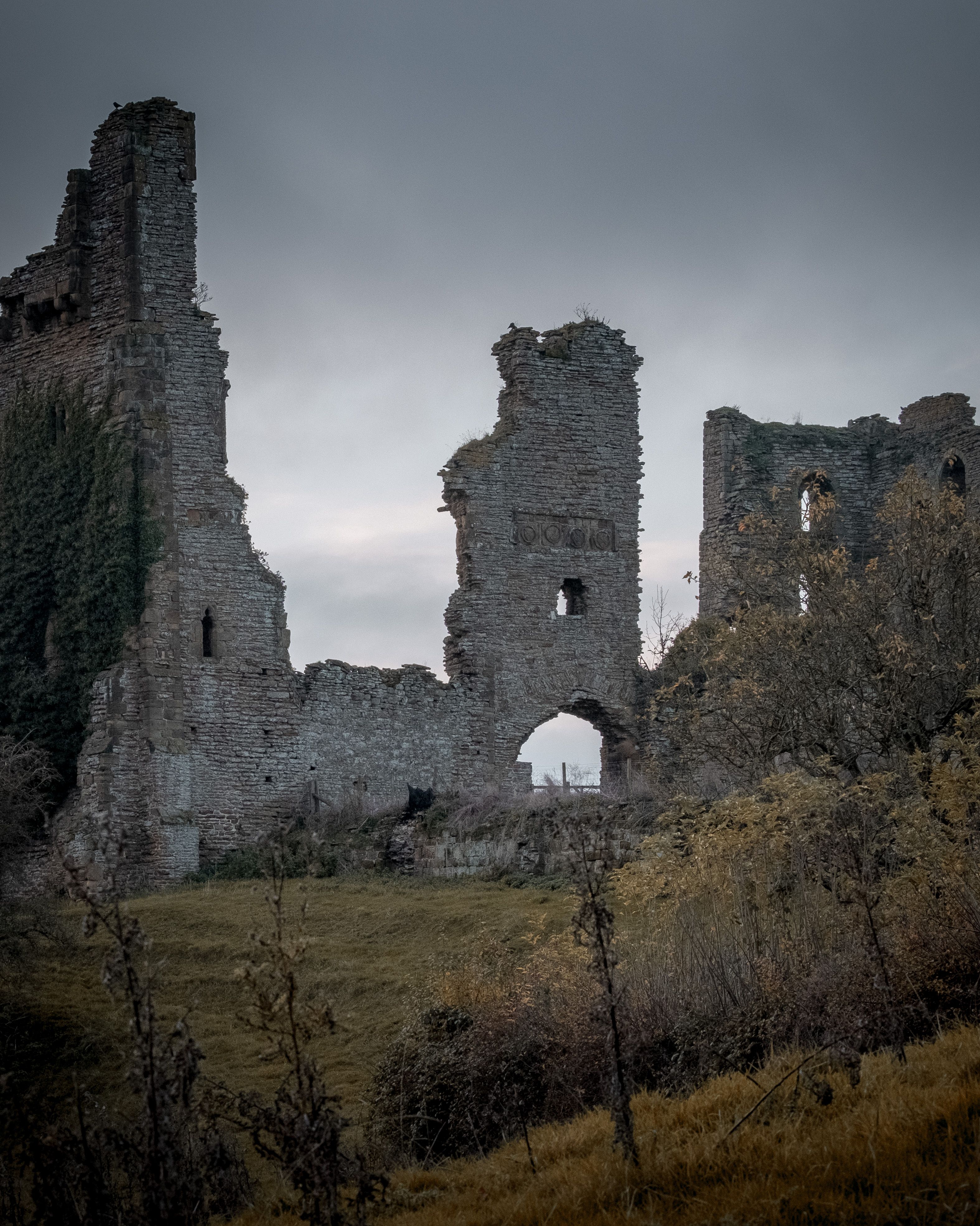 Ruins of Medieval Castle · Free Stock Photo