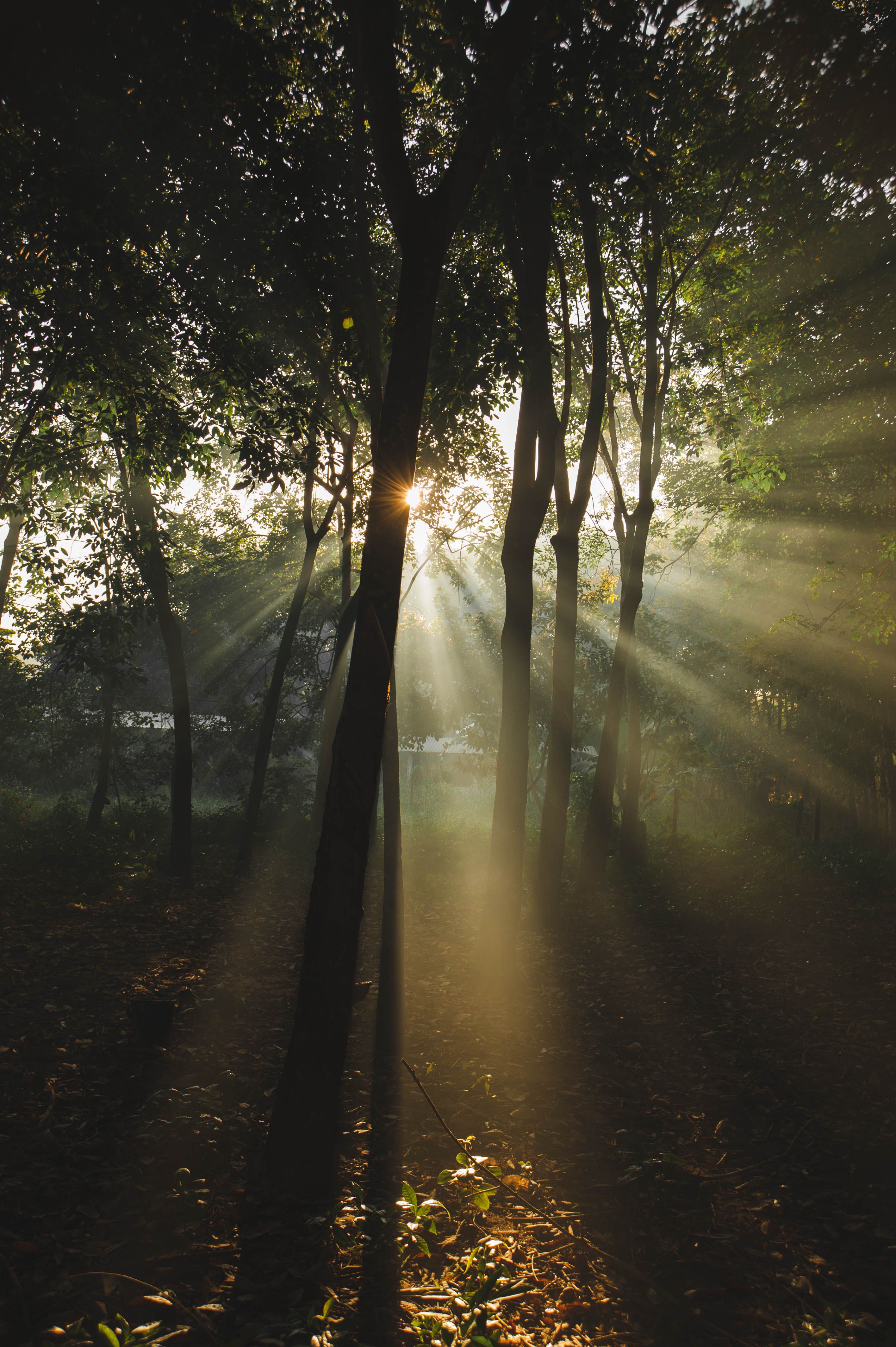 Morning Photography Photos, Download The BEST Free Morning Photography ...