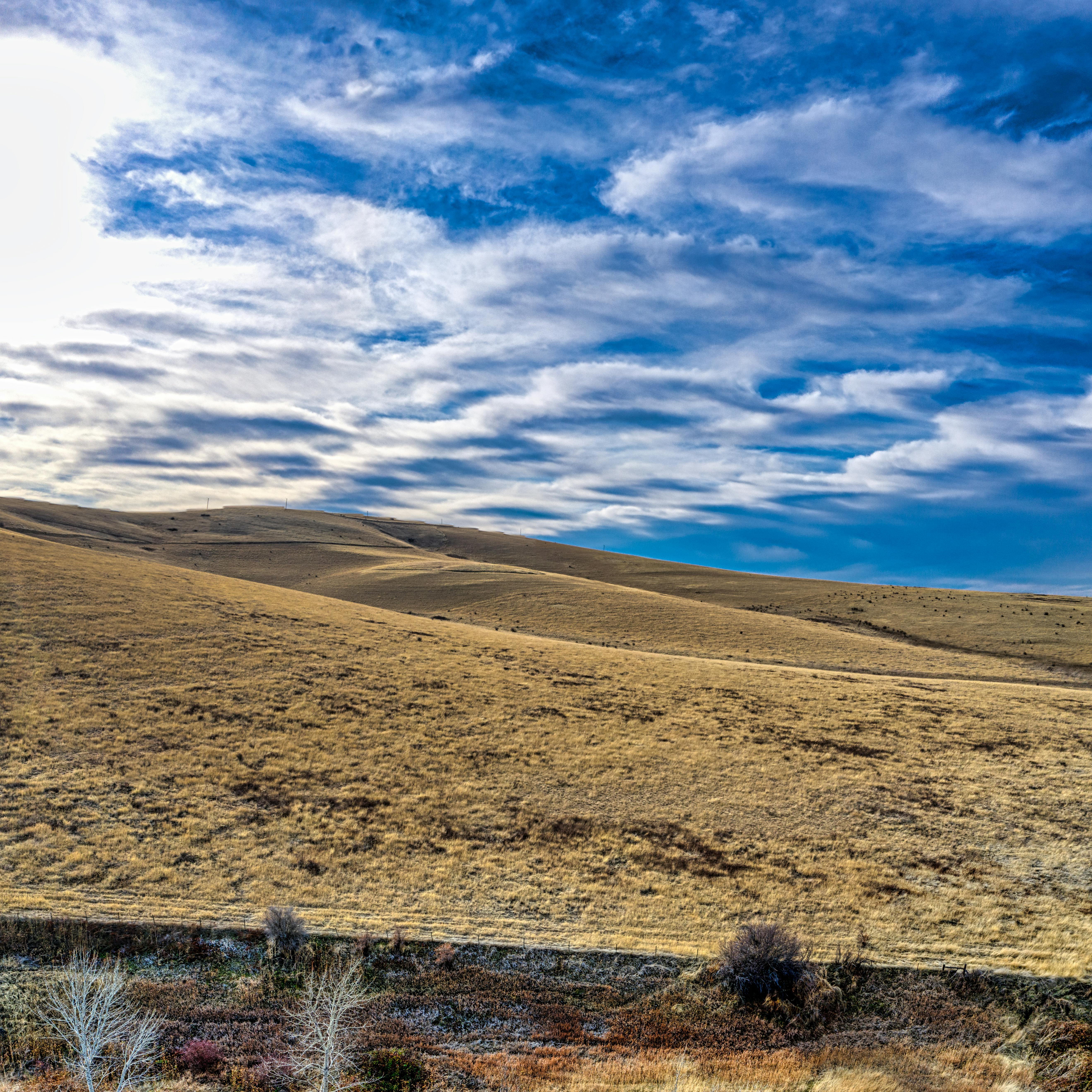 Dry Meadow under Blue Skies · Free Stock Photo