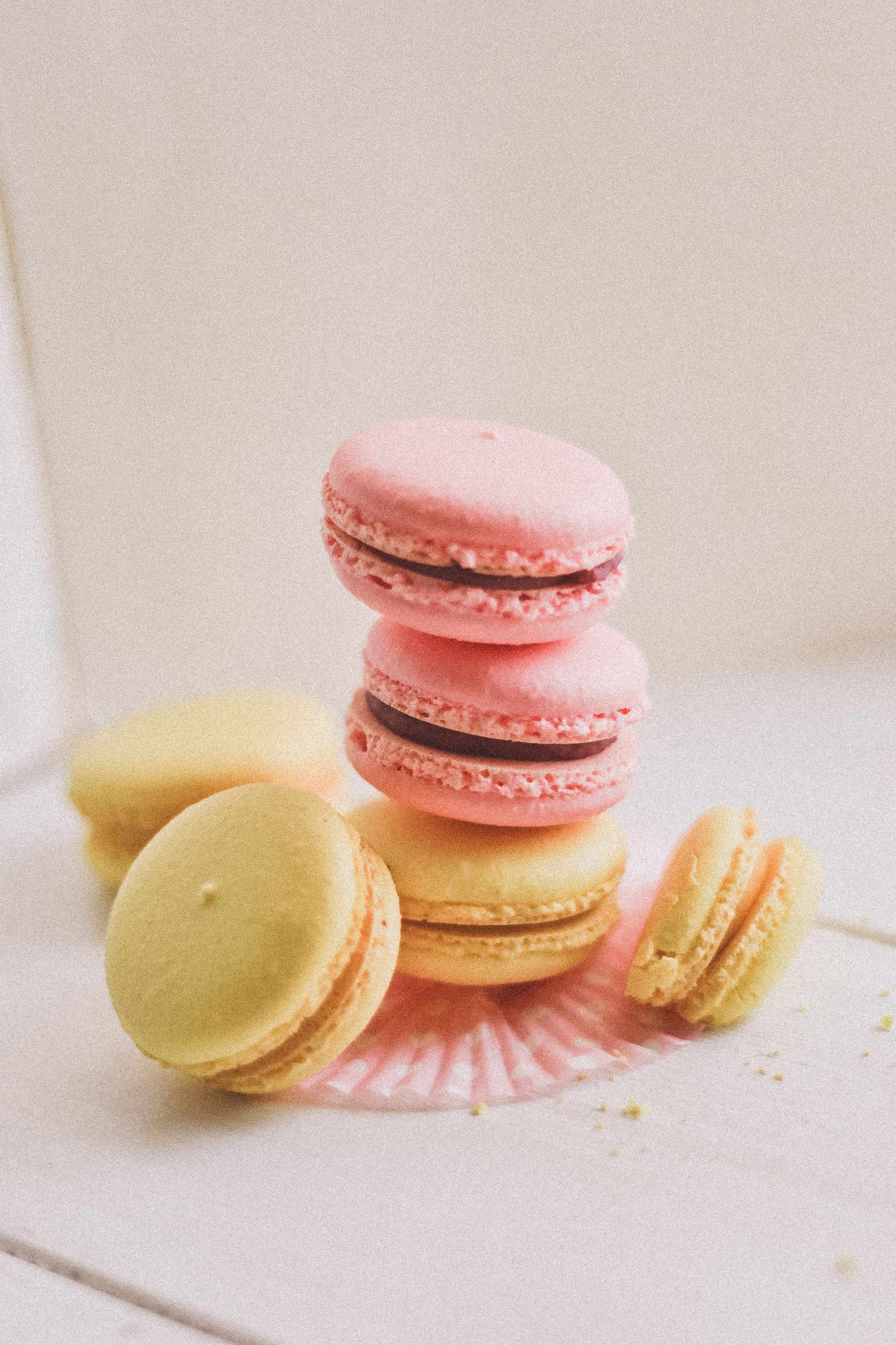 Person Holding a Bitten Macarons · Free Stock Photo