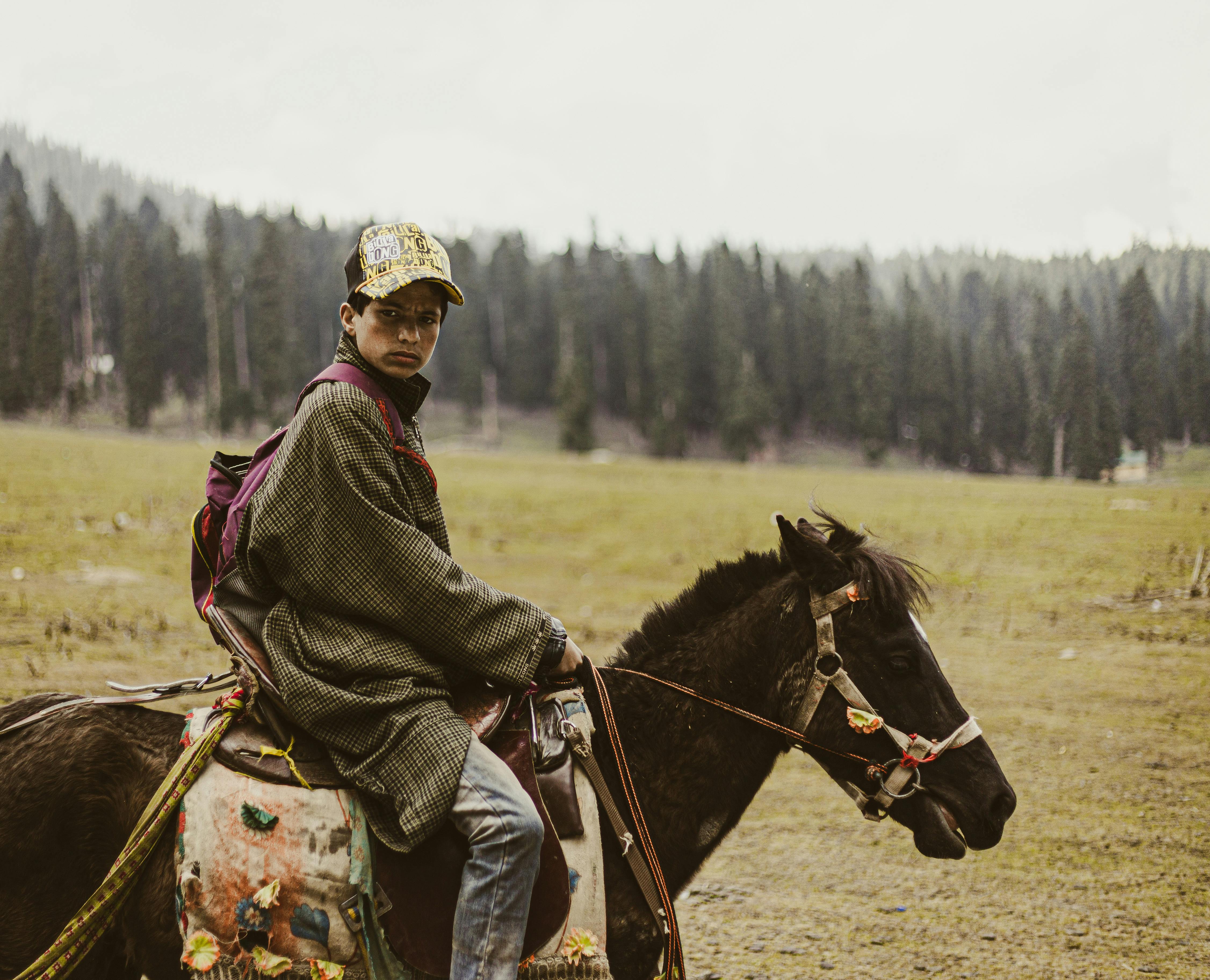 Back View of a Man Riding a Horse on a Forest · Free Stock Photo