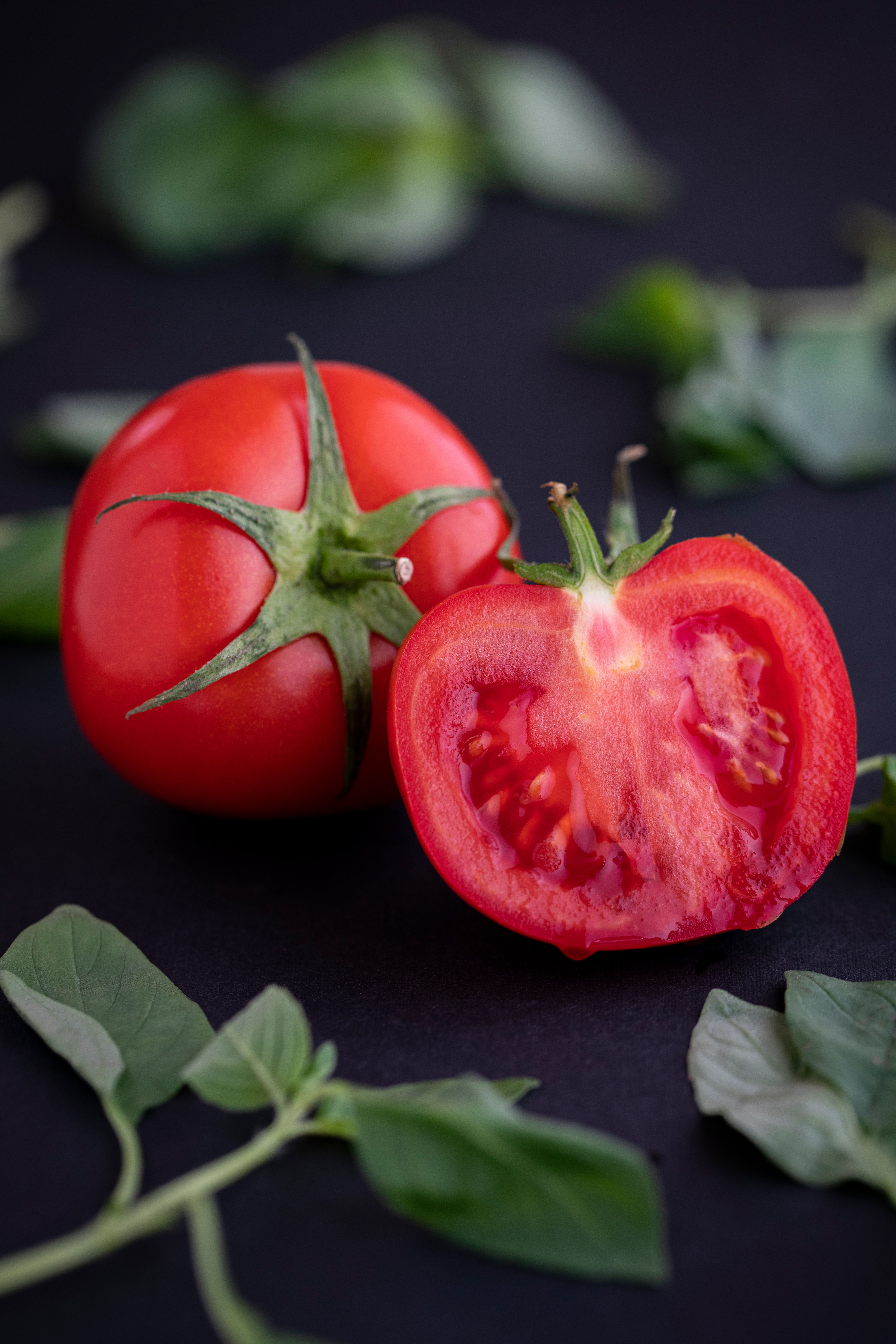 Close Up Shot of a Tomatoes · Free Stock Photo