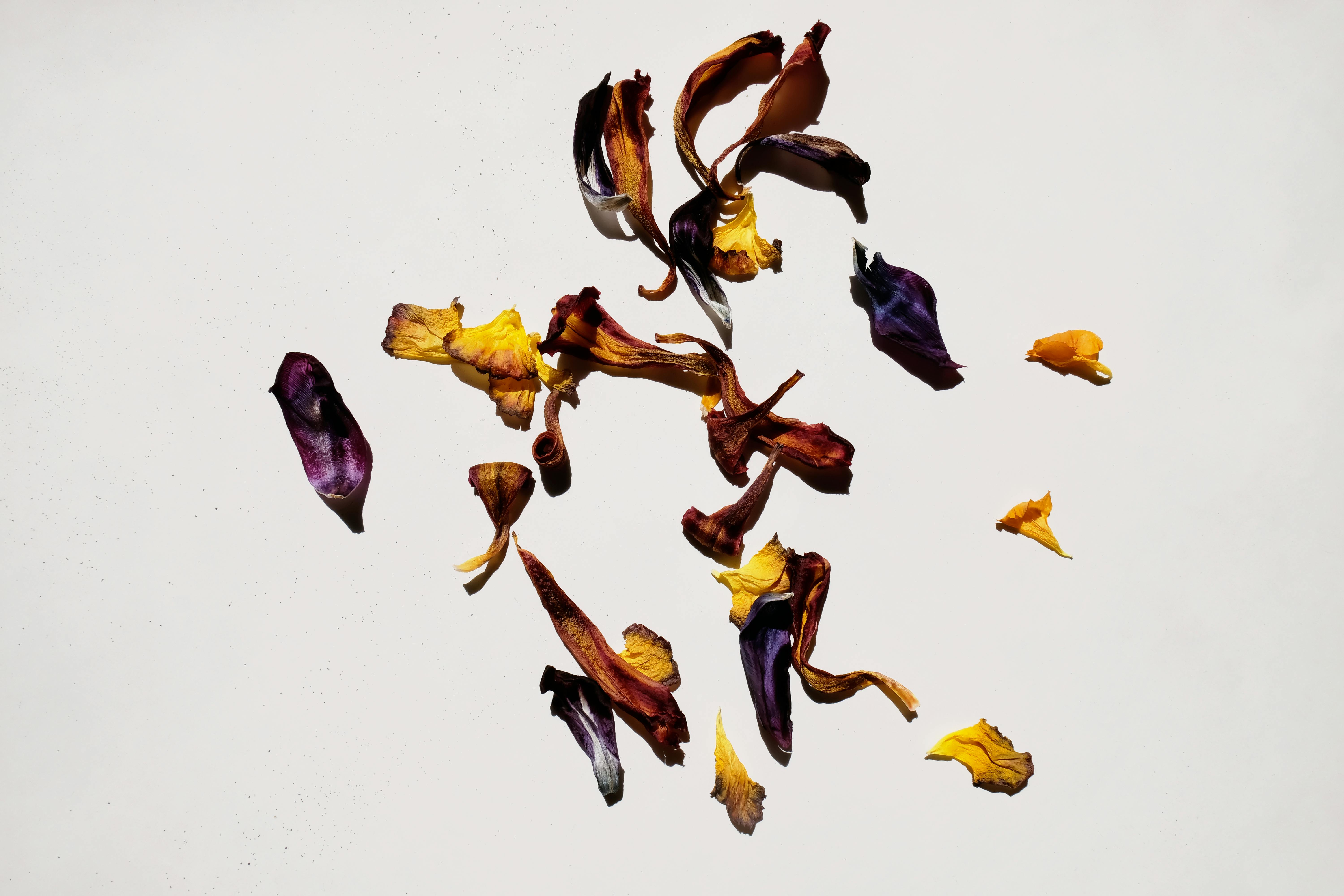 Interior Design Decorative Samples · Free Stock Photo