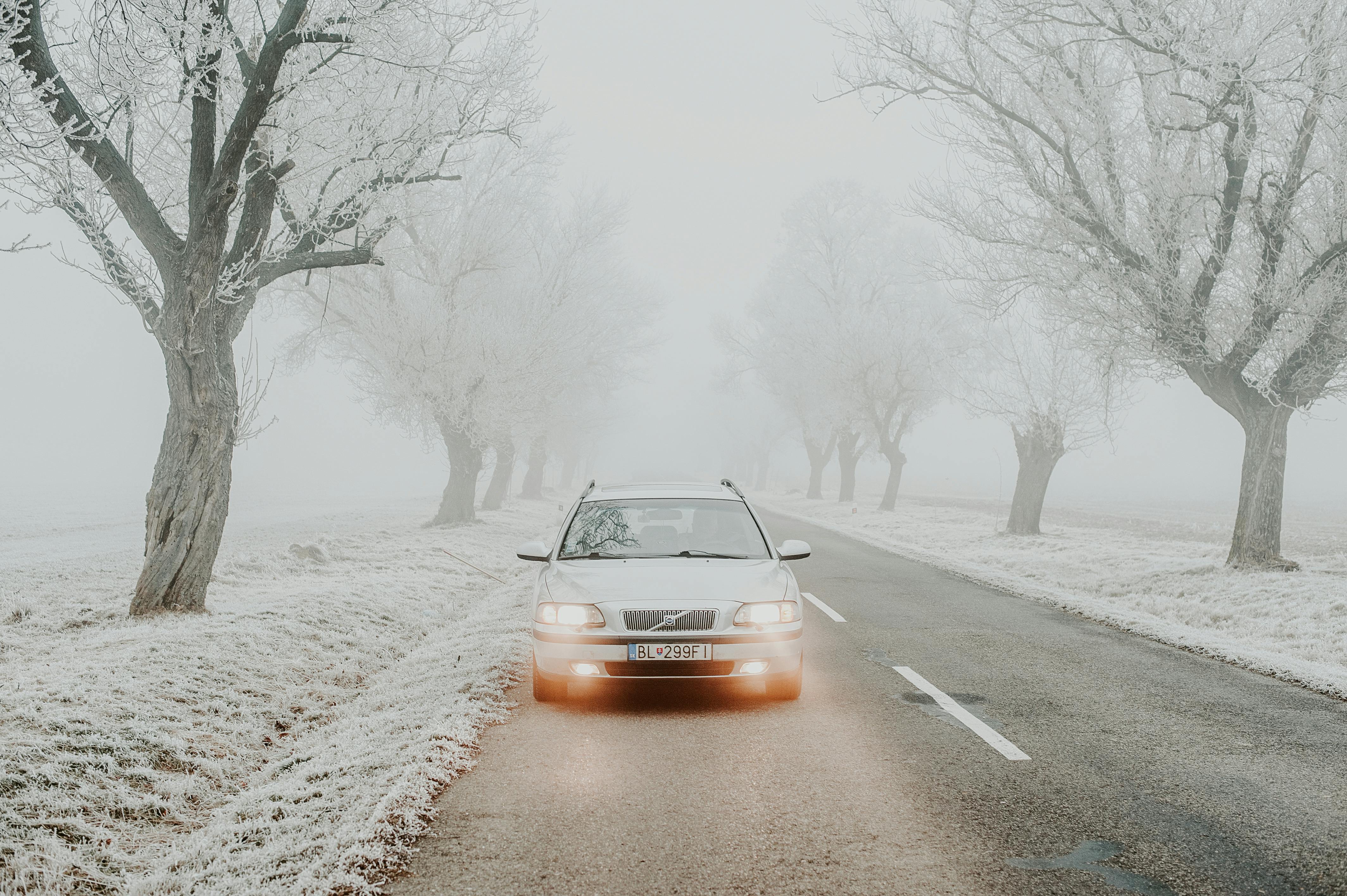Person walking in the Middle of the Road · Free Stock Photo
