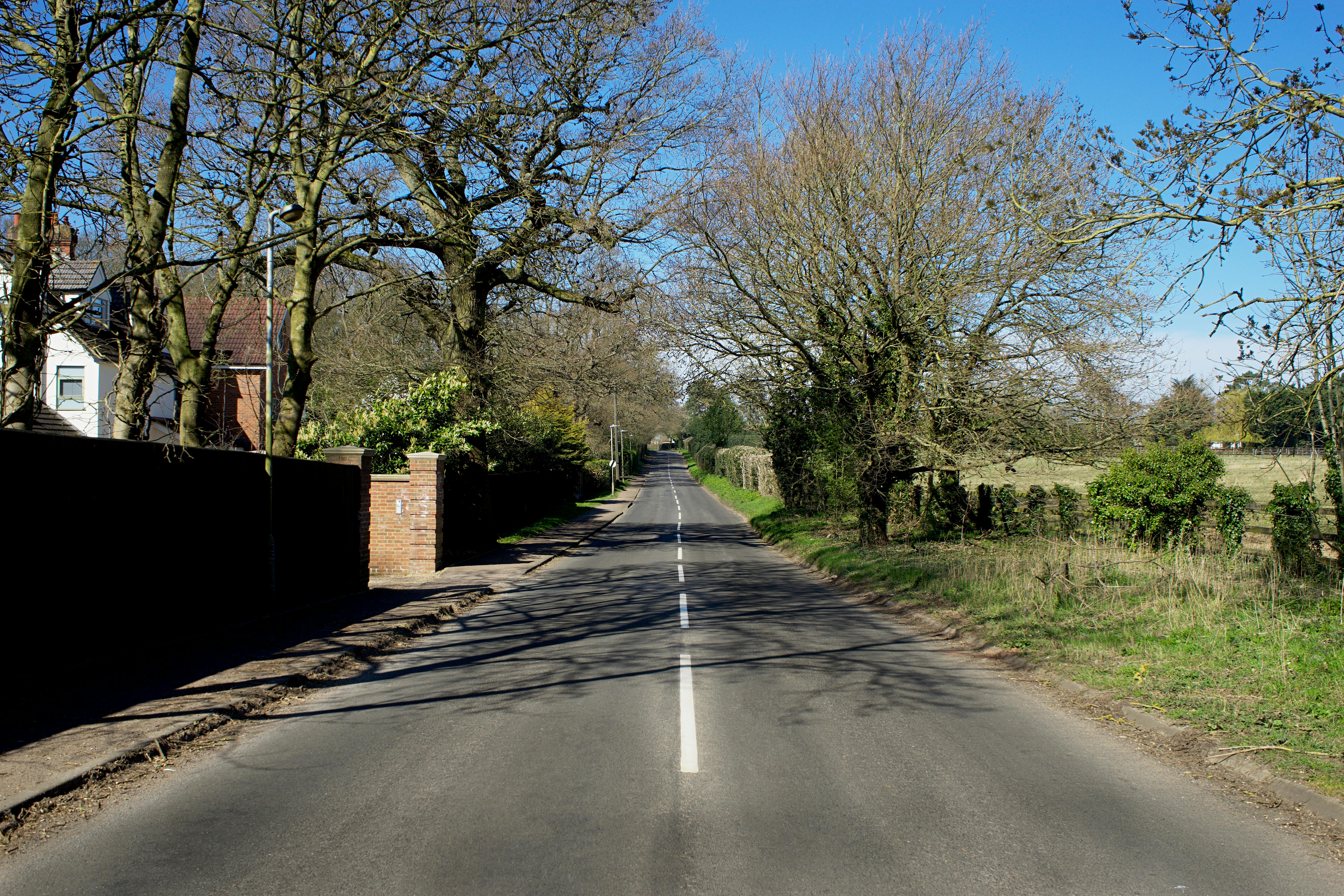 Yellow Painted Gray Road · Free Stock Photo