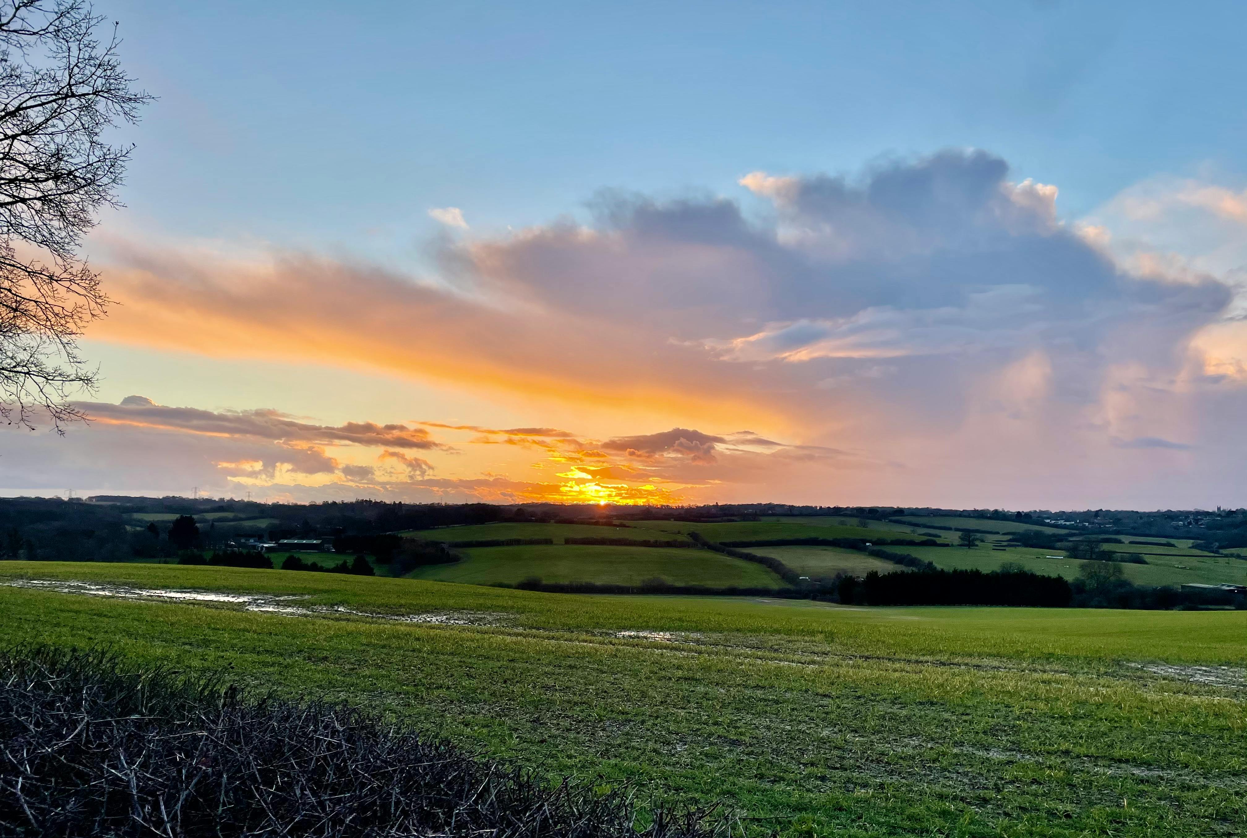 Karen Rice - Photography