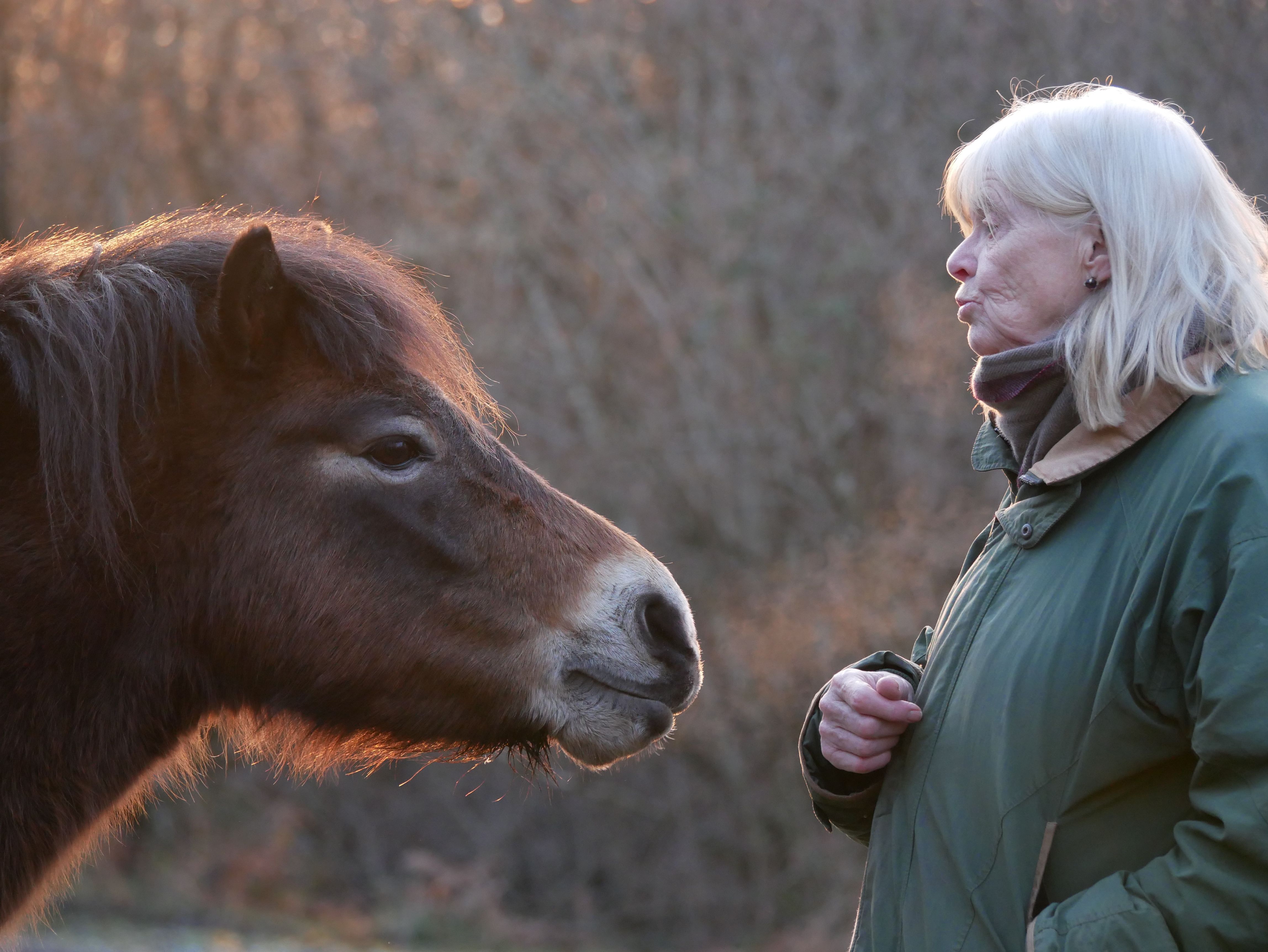 Girl And Pony Photos, Download The BEST Free Girl And Pony Stock Photos ...