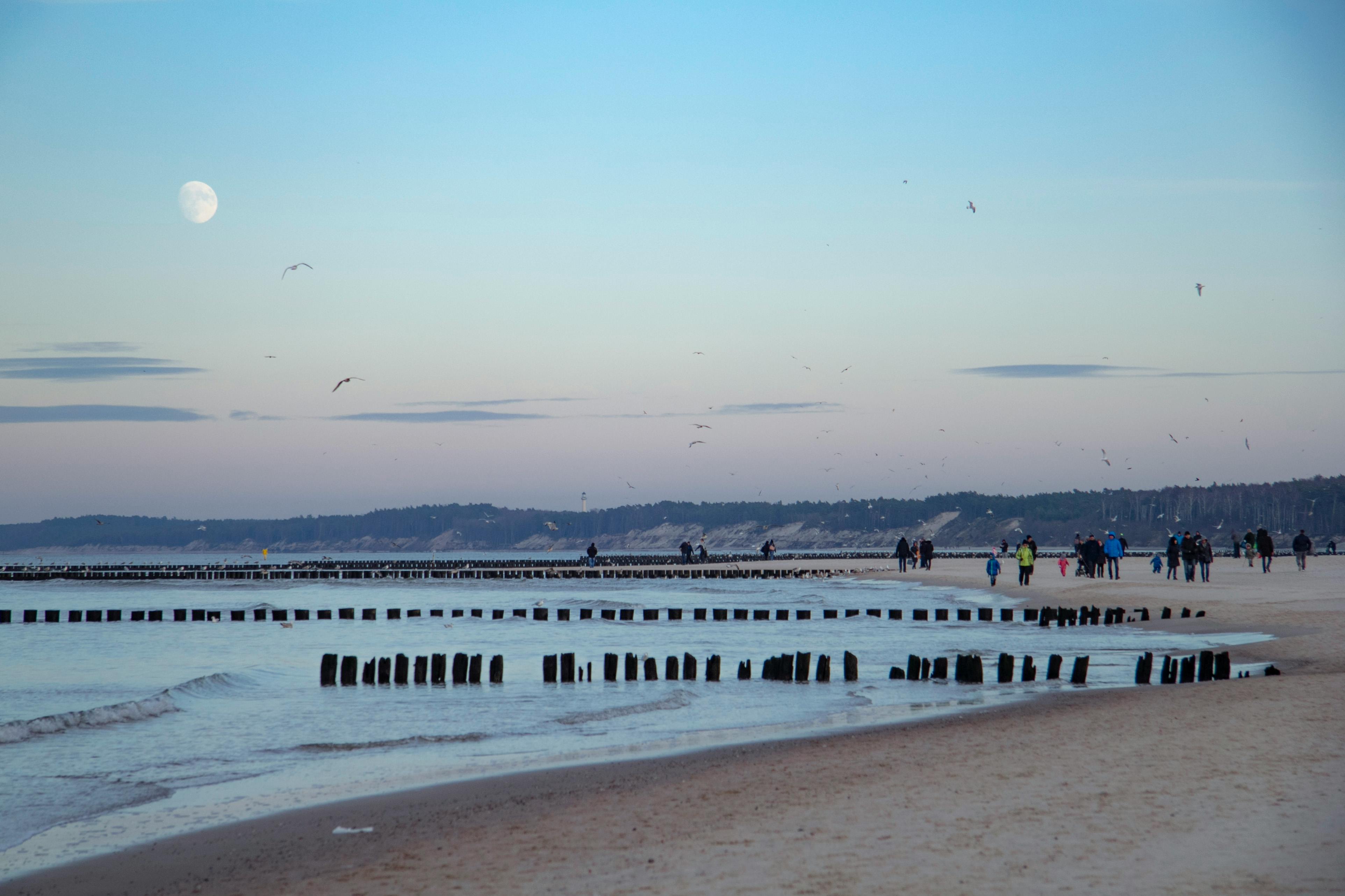 People Spending Time on the Beach · Free Stock Photo