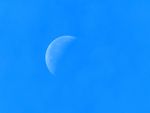 10,000+ Best Half Moon Photos · 100% Free Download · Pexels Stock Photos
