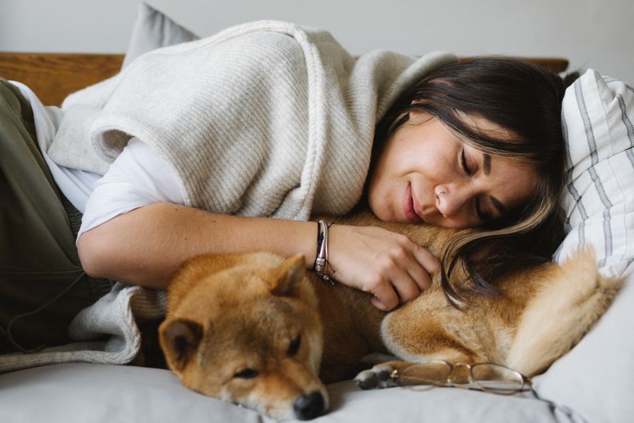 Exploring the Smile Dog Origin: Fact or Fiction?