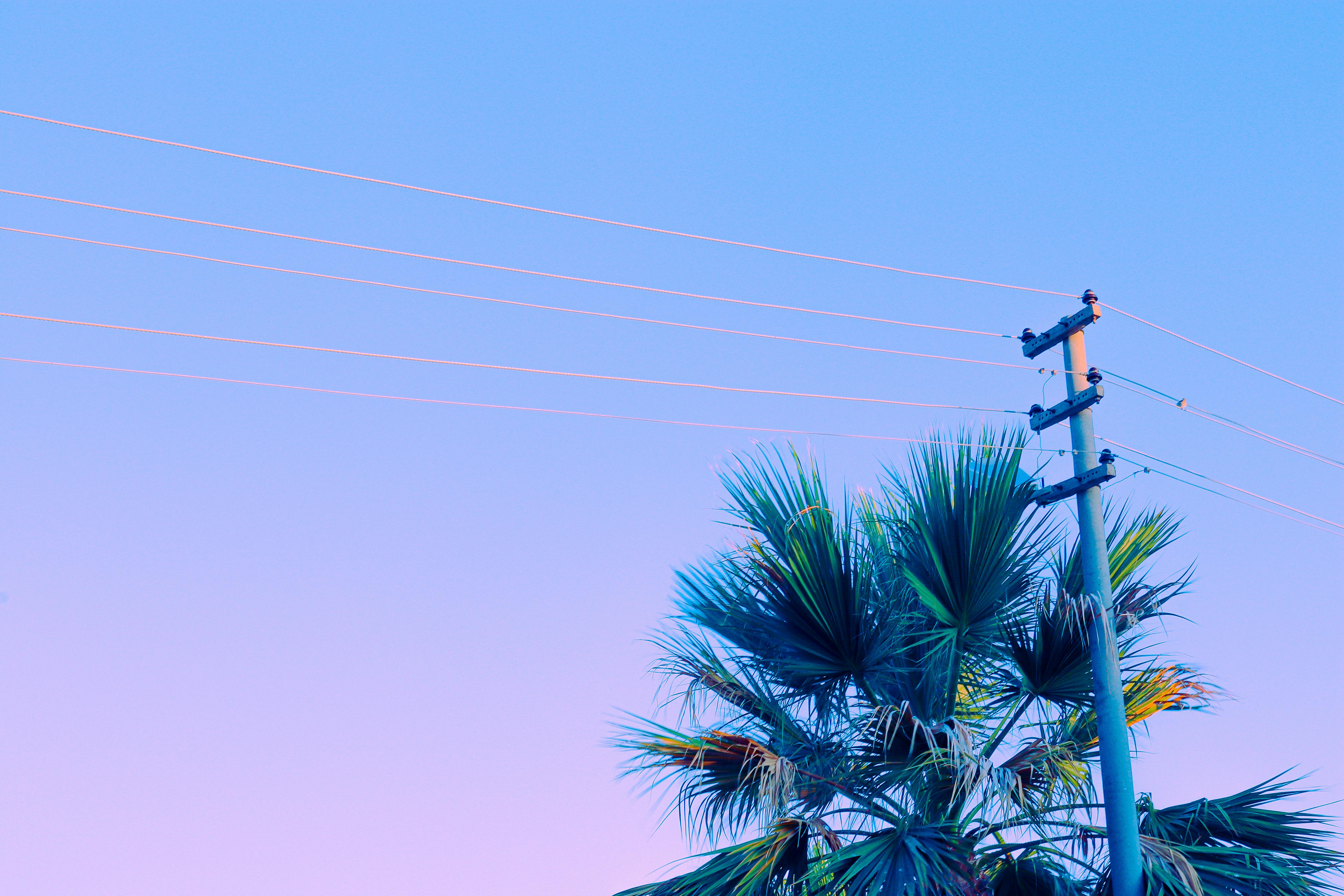 Desktop Wallpaper · Pexels