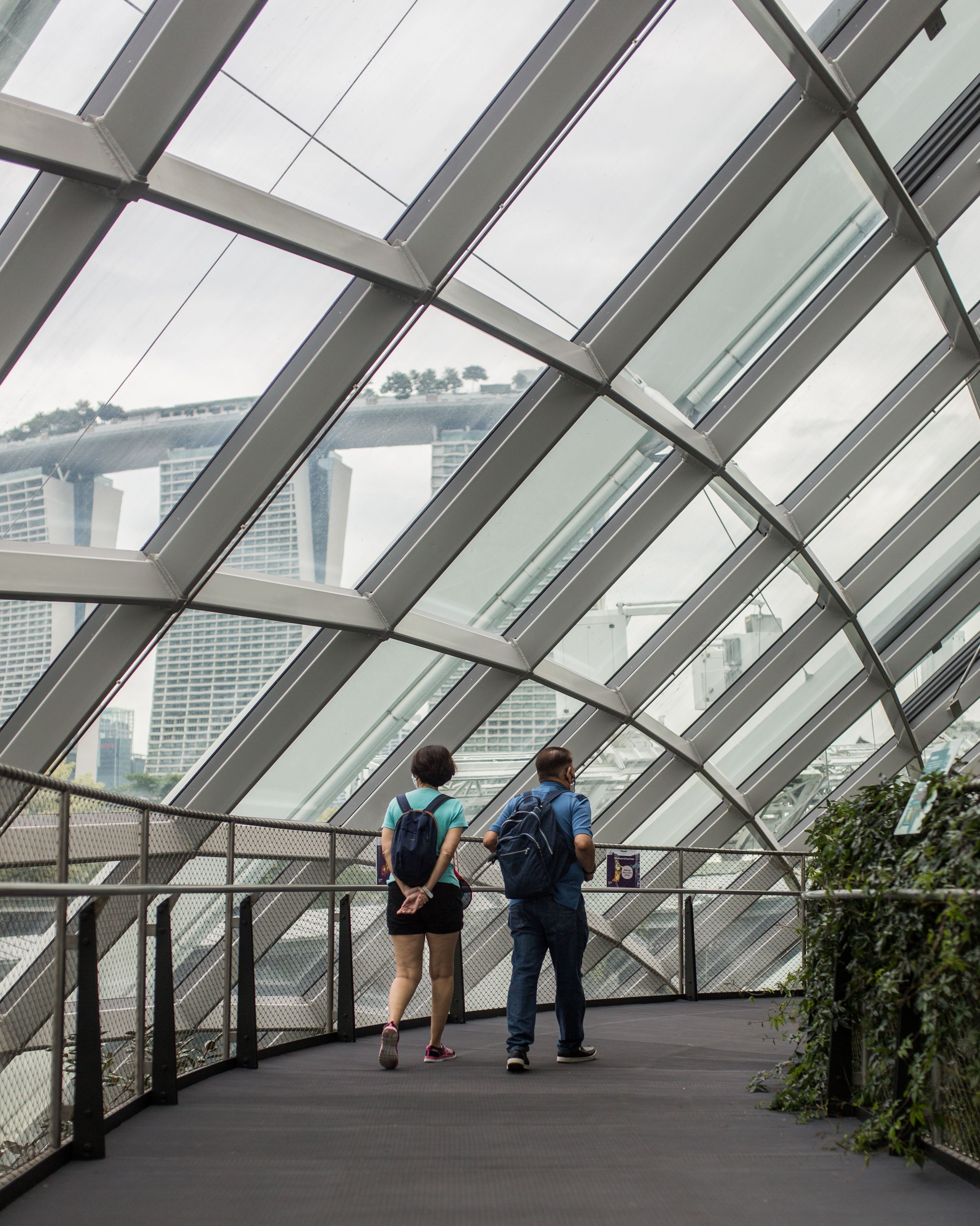 A Couple Walking on the Aerial Walkway in the Cloud Forest · Free Stock ...