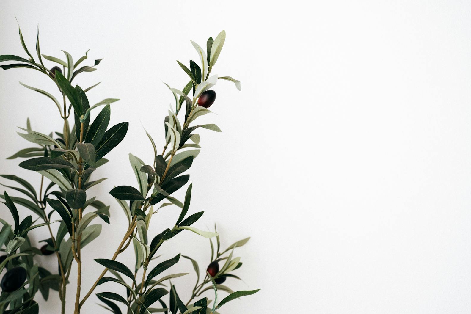 Which way do SIM cards go in your Android phone?