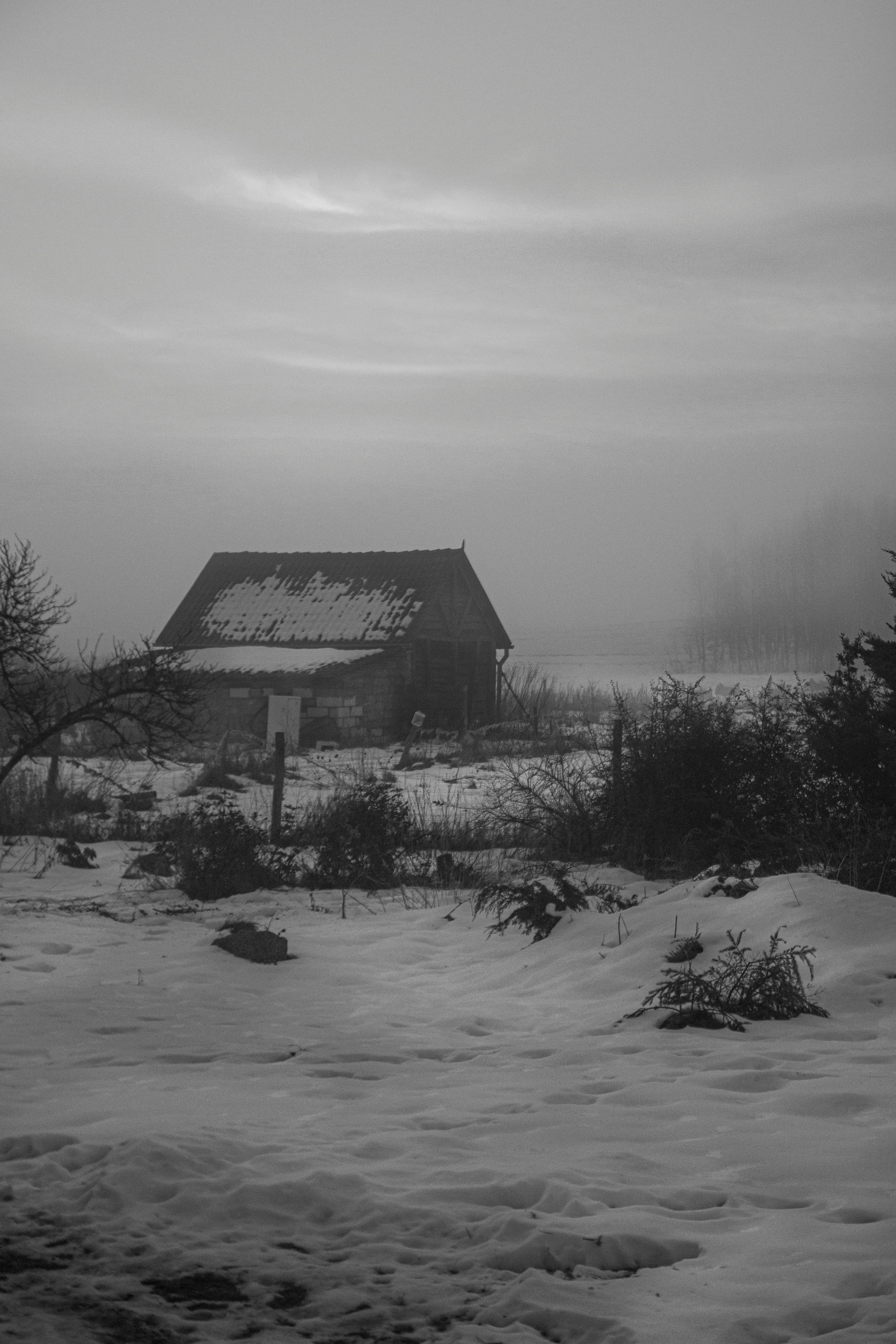 Grayscale Photo of a House in the Countryside During Winter · Free ...