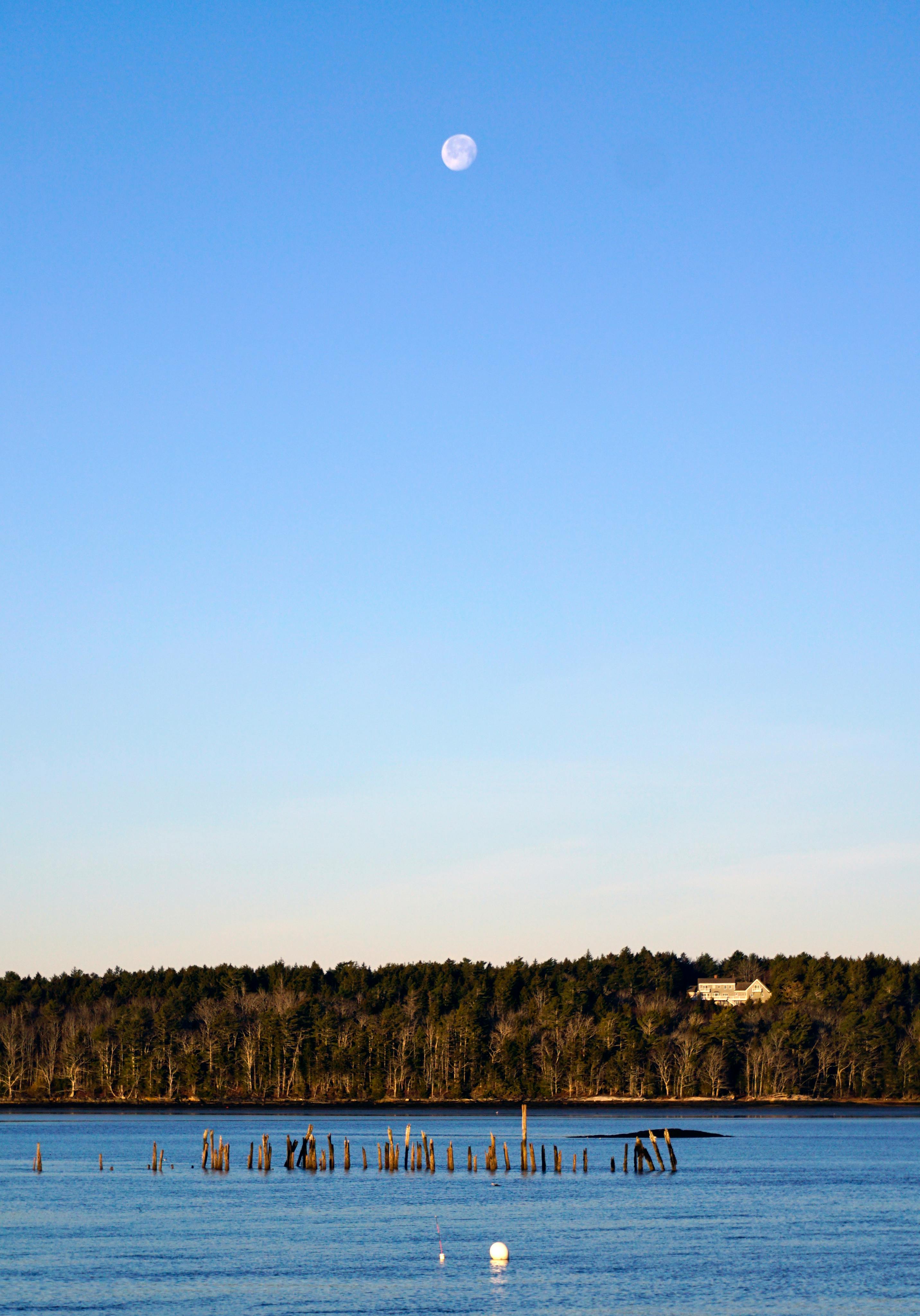 Moon Above Lake at Midday · Free Stock Photo