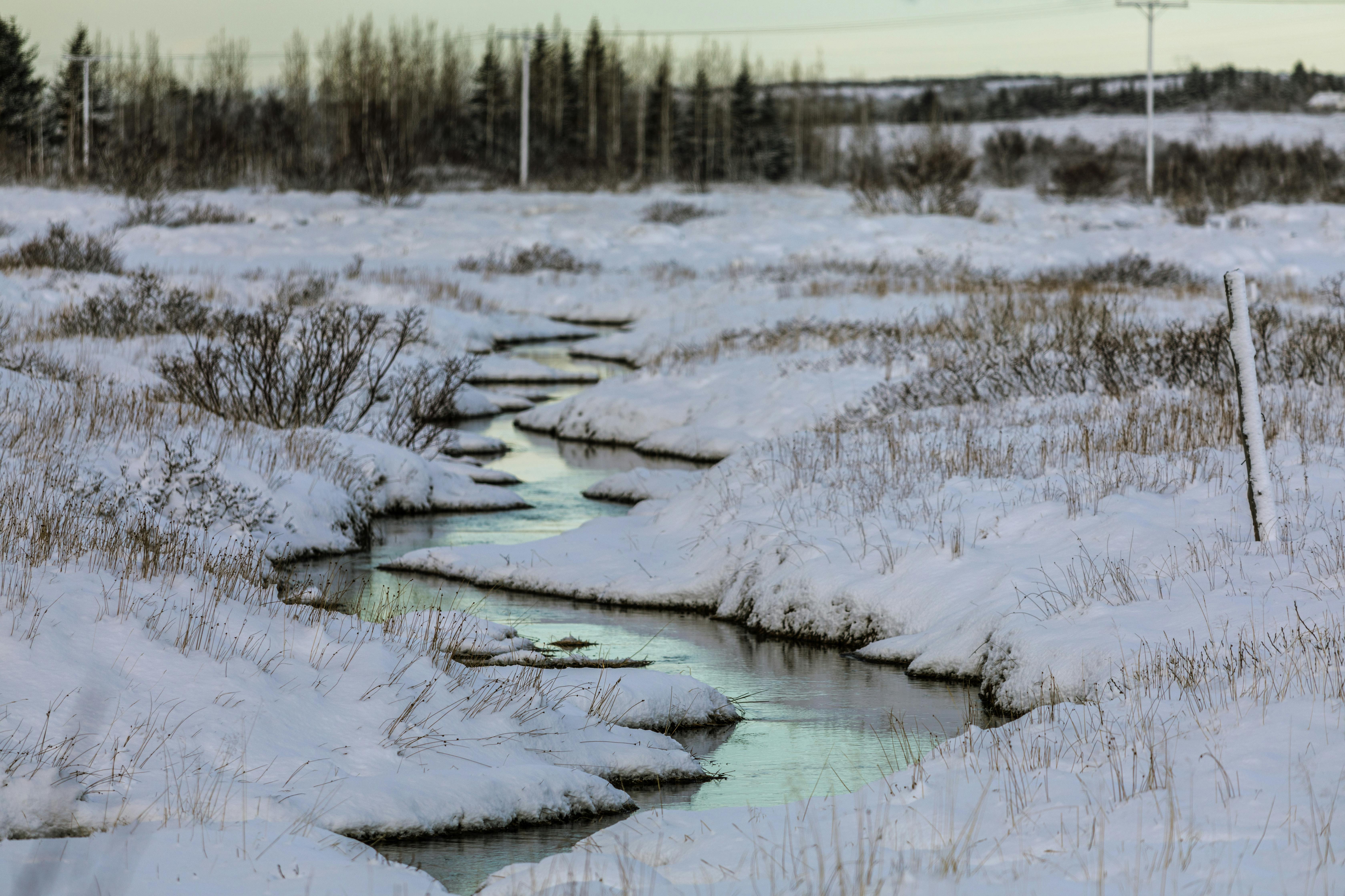 Meandering Stream in a Winter · Free Stock Photo