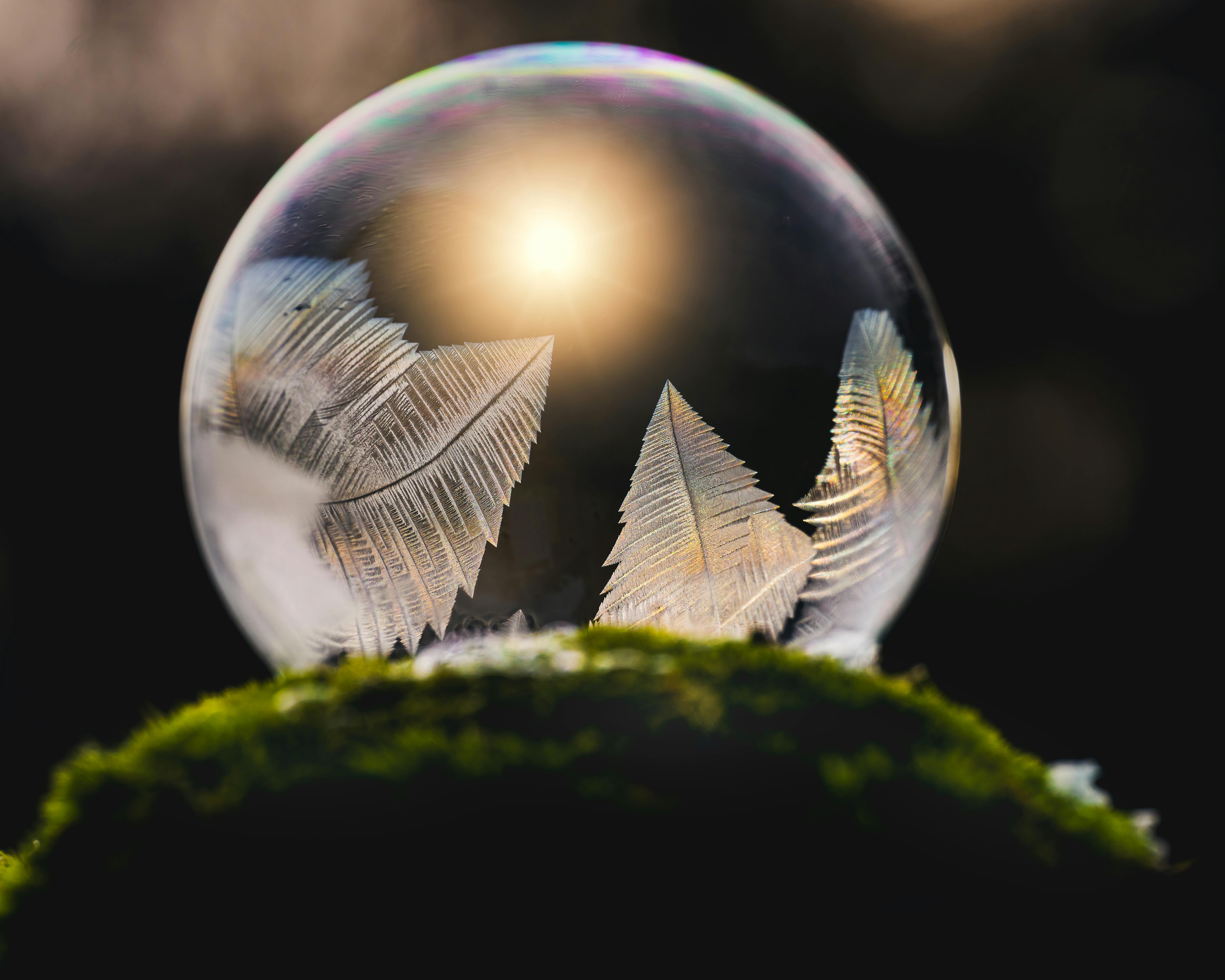 Light Going Through a Glass Ball · Free Stock Photo