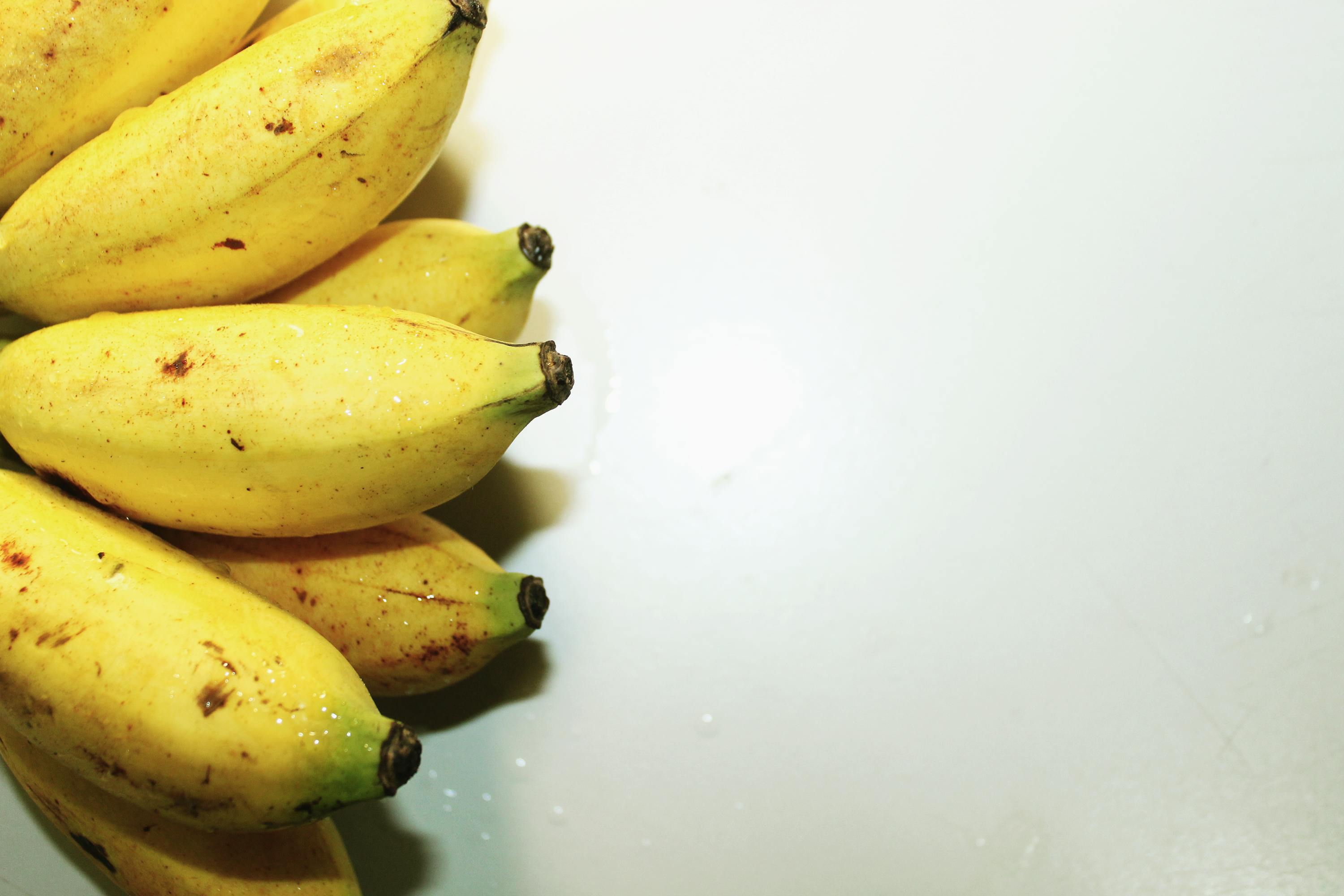 Allan Zander Chris Urpina - 写真