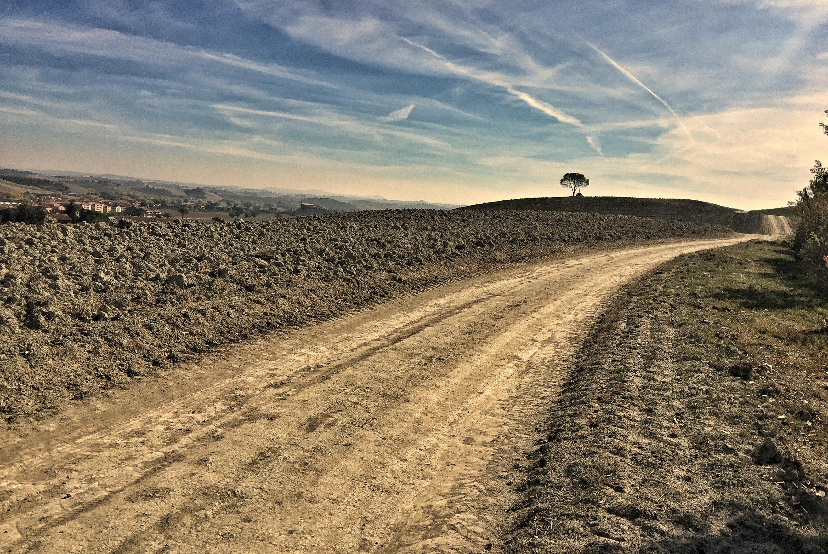 Landscape with Dirt Road, Tree and Hills · Free Stock Photo